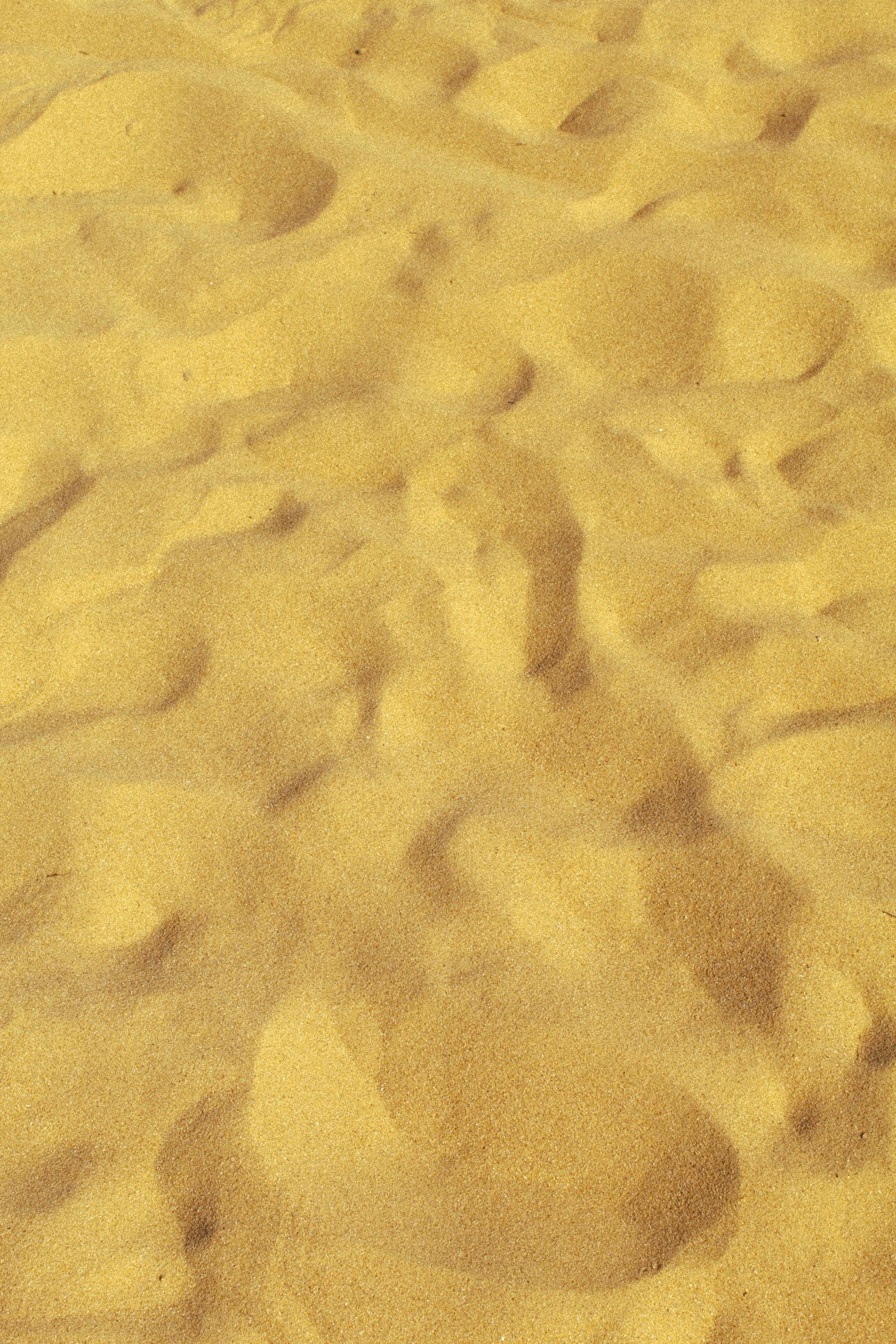 Rough Texture of Sand · Free Stock Photo