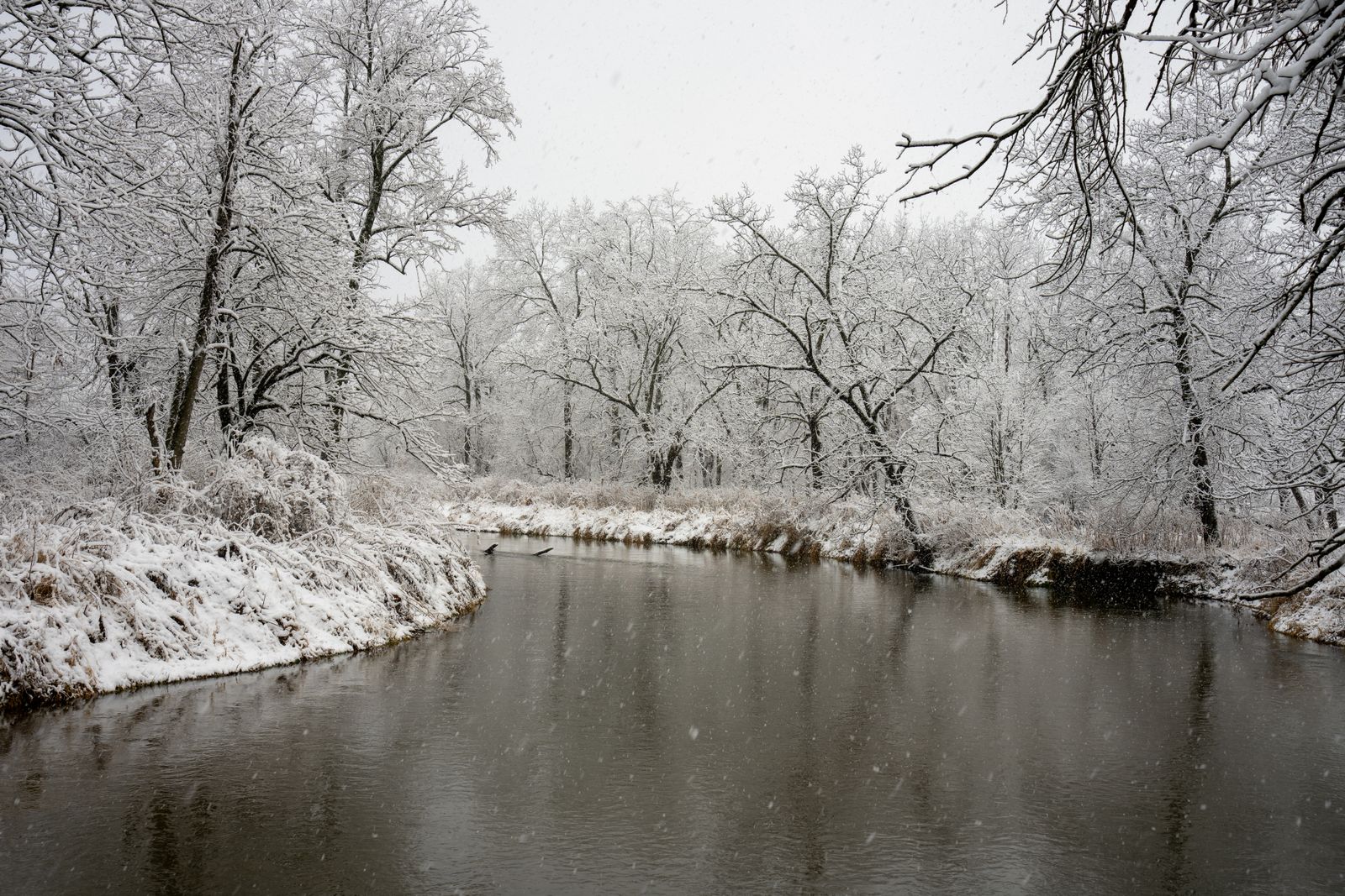 Snowfall Wallpaper Photos, Download The BEST Free Snowfall Wallpaper ...