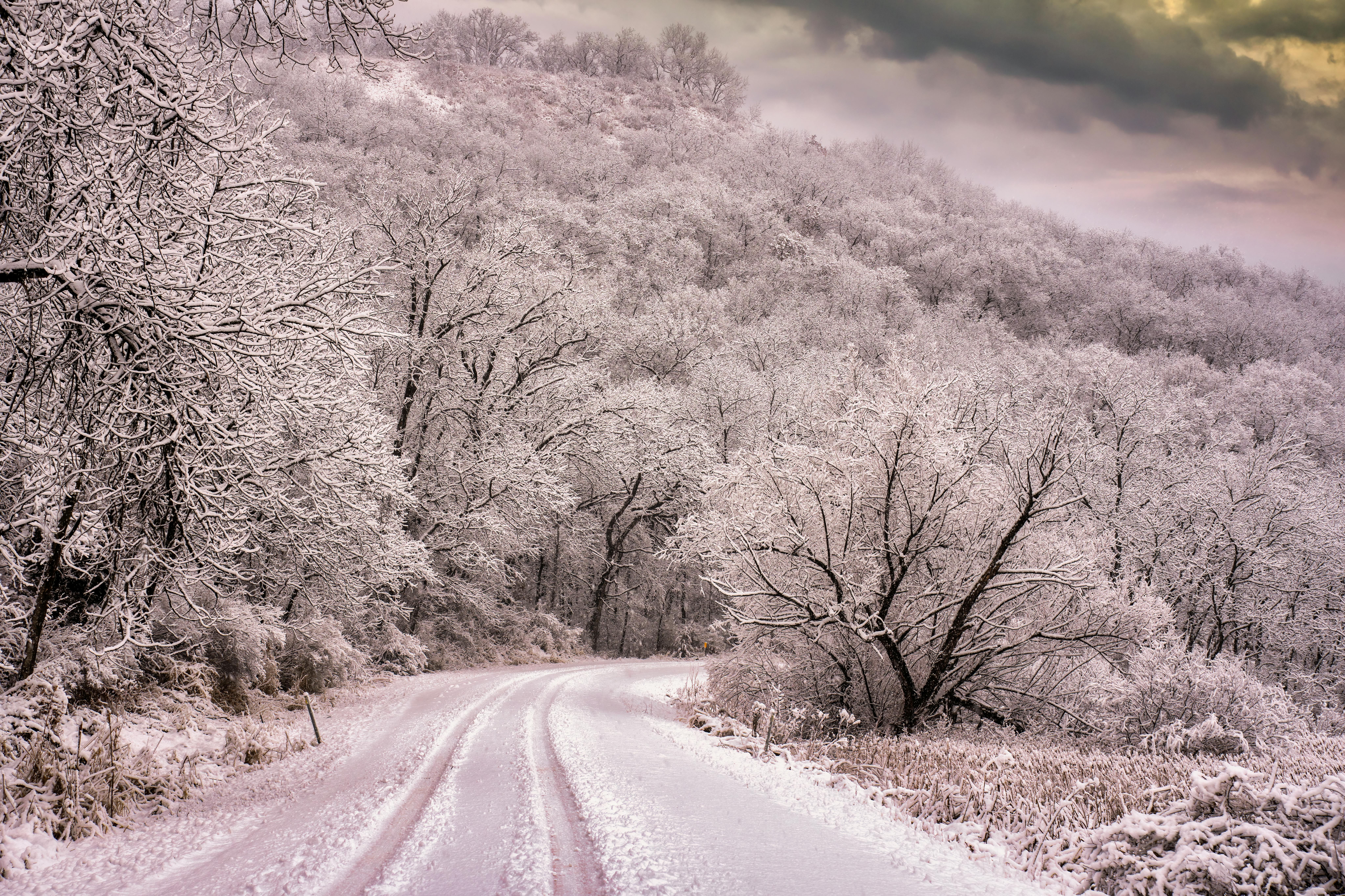 Snow on Road in Forest · Free Stock Photo