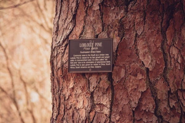 Hiding Information Photos, Download The BEST Free Hiding Information ...