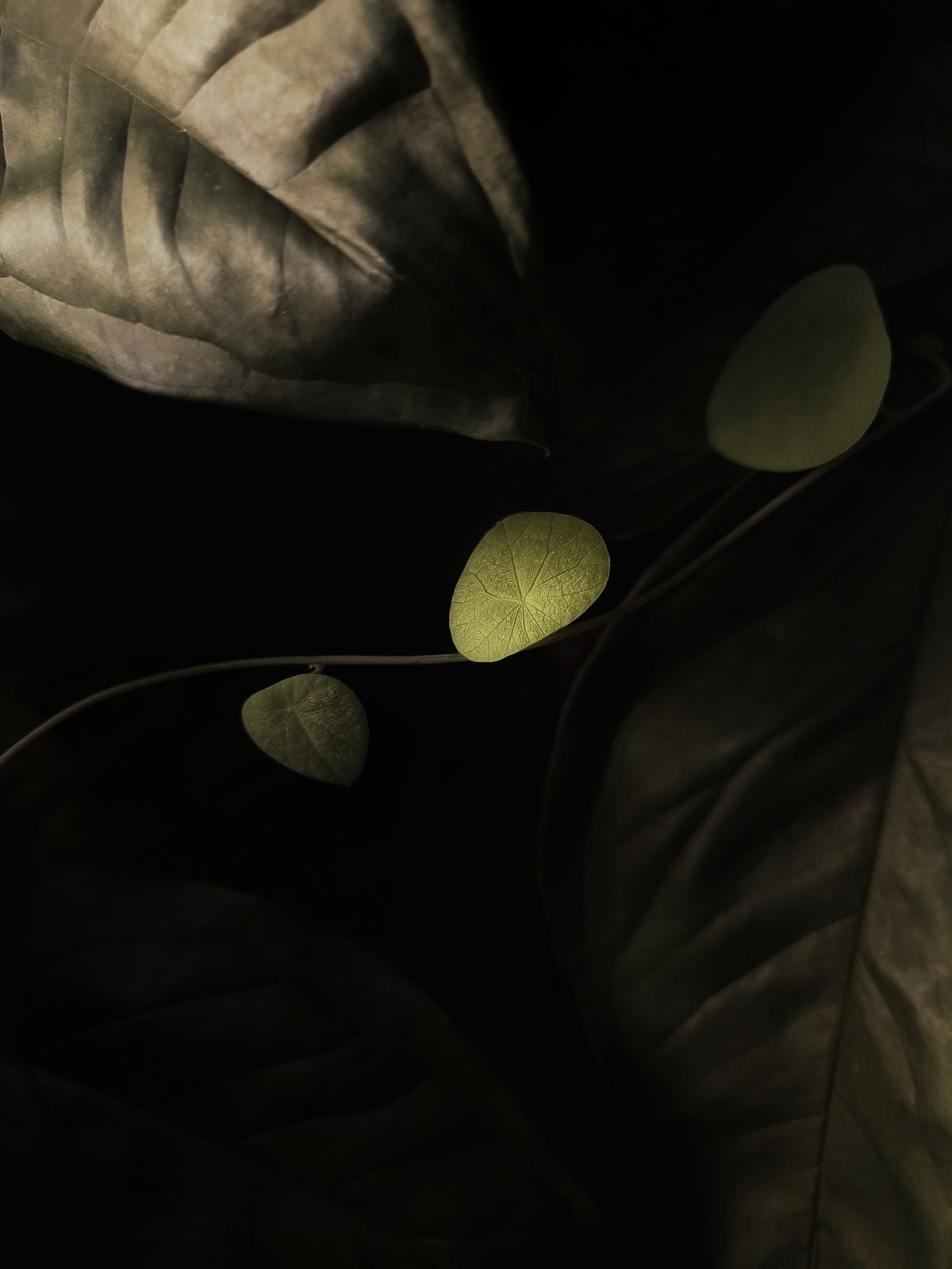 Dark Lockscreen Photos, Download The BEST Free Dark Lockscreen Stock ...