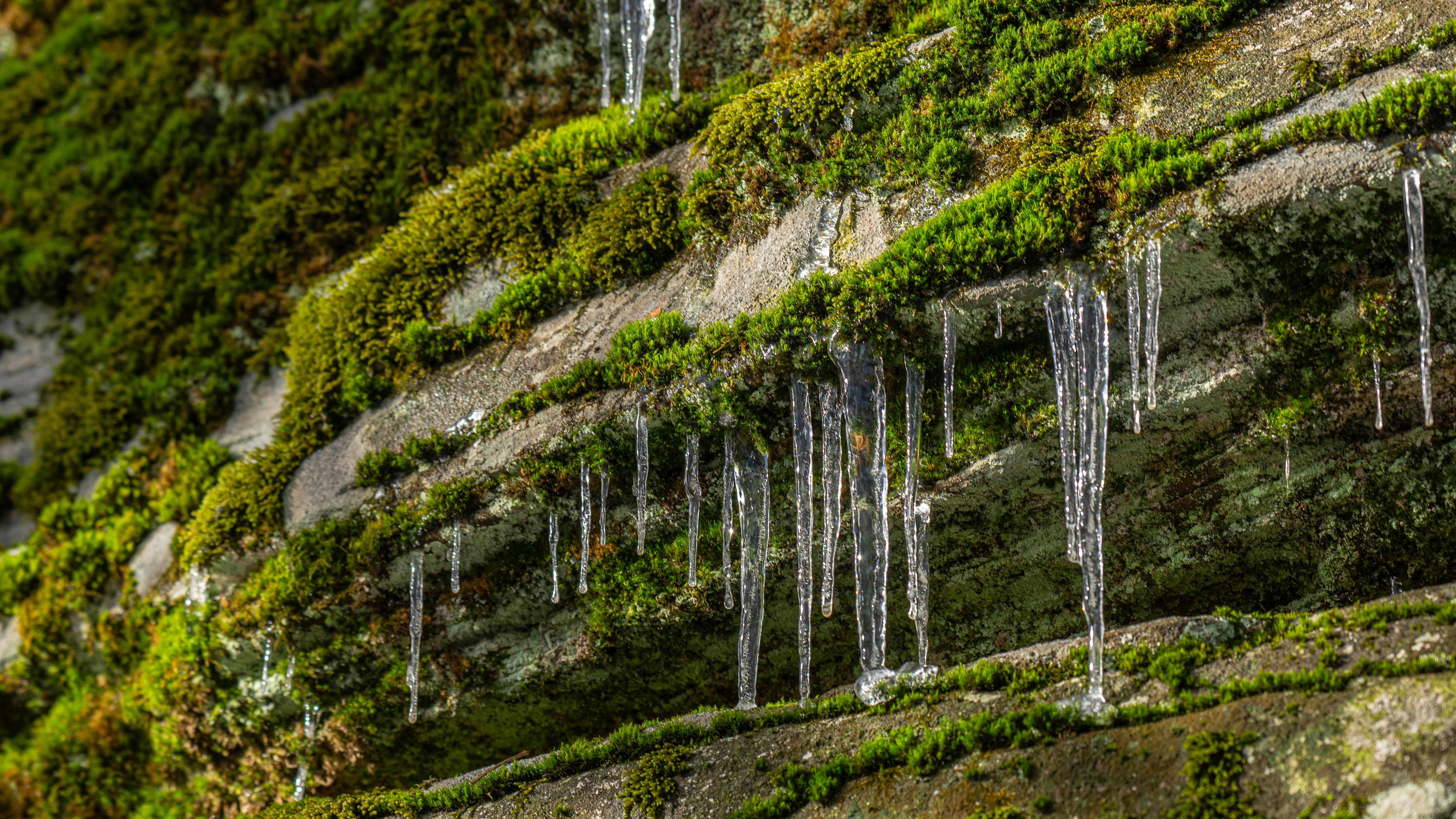 Icicle on Rock · Free Stock Photo