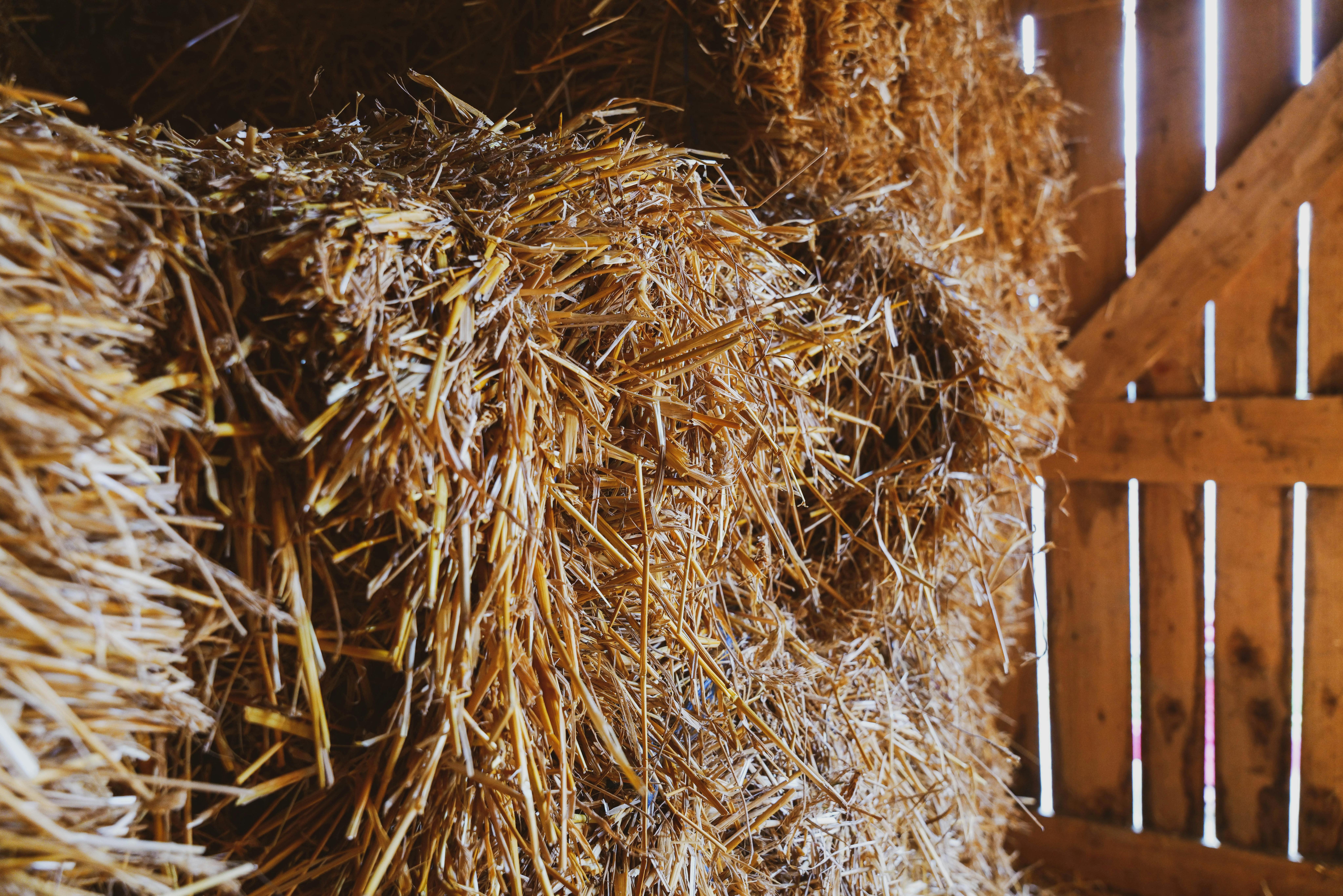 Man Carrying Sheaves of Hay · Free Stock Photo