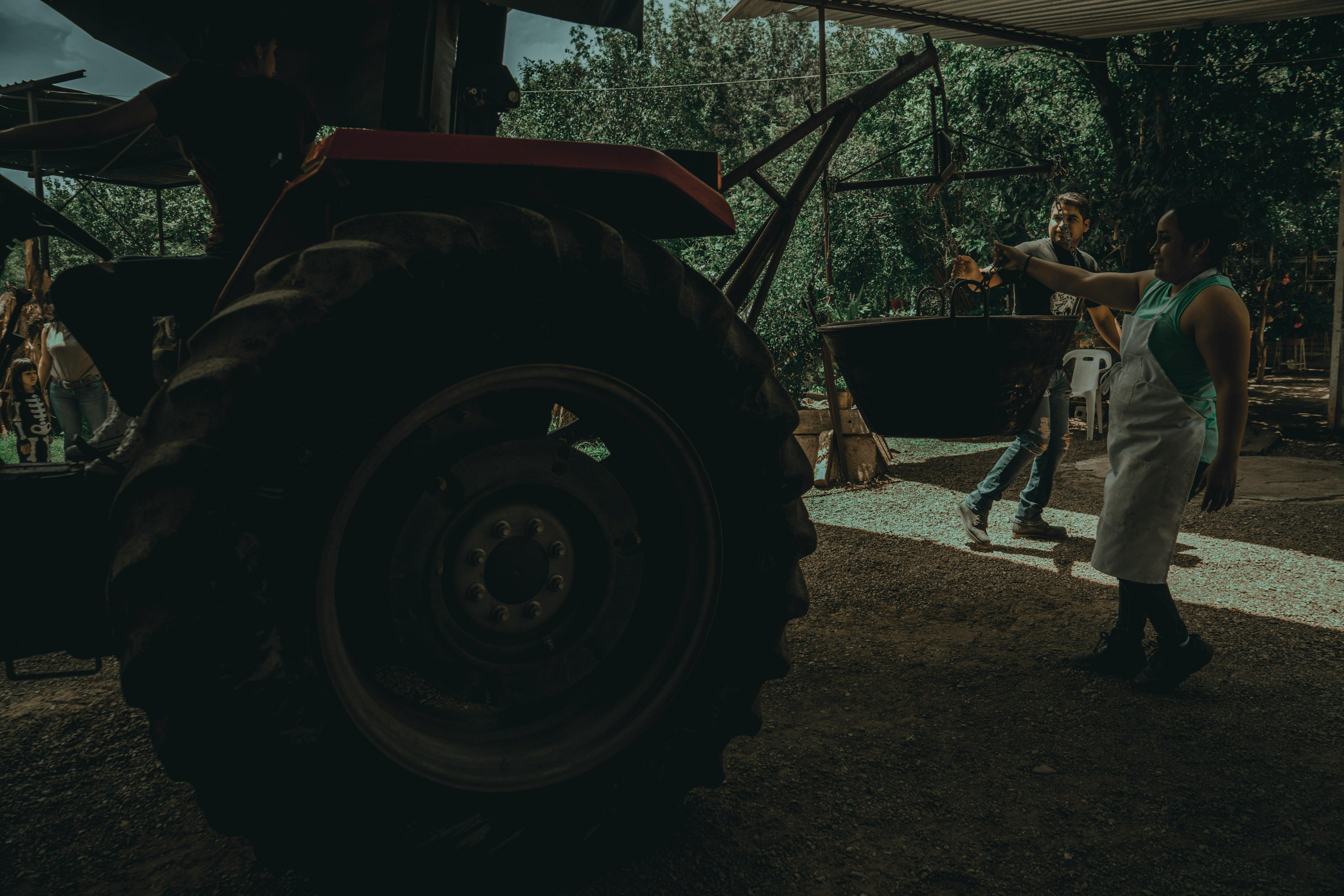 Horse Poop on Ground · Free Stock Photo