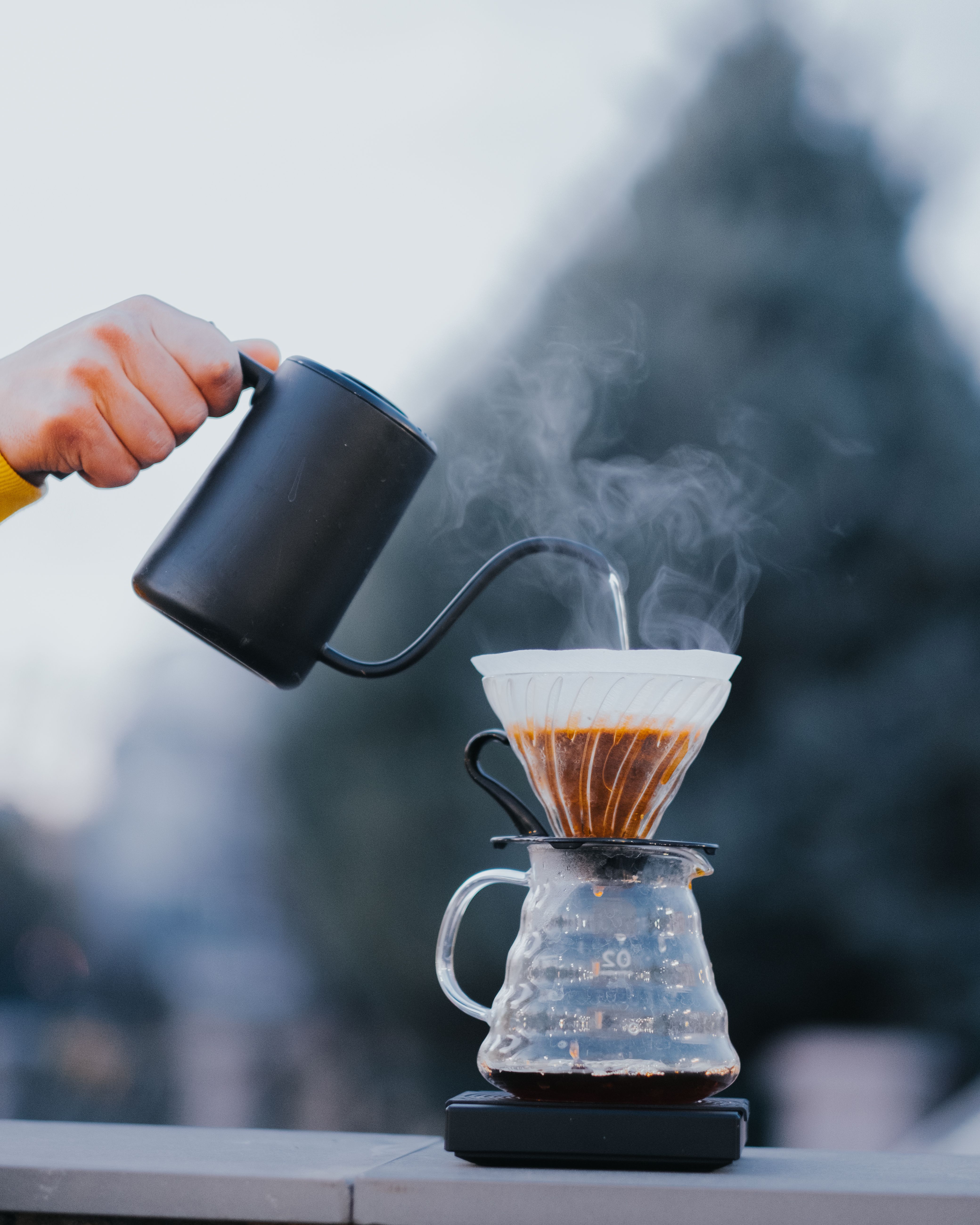 Close-up of Person Pouring Hot Water into a Coffee Pot with a Coffee ...