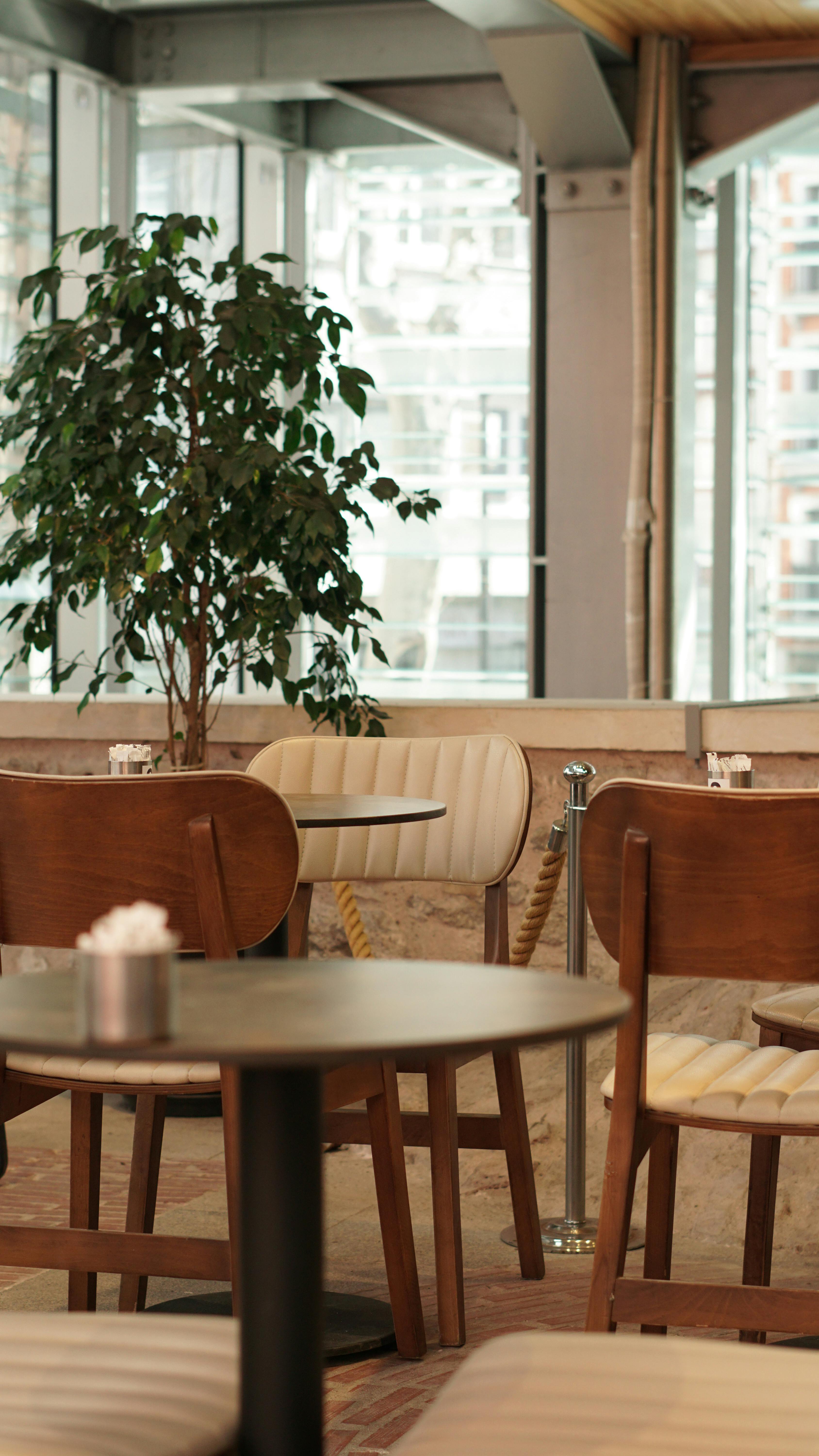 Cafe · Free Stock Photo