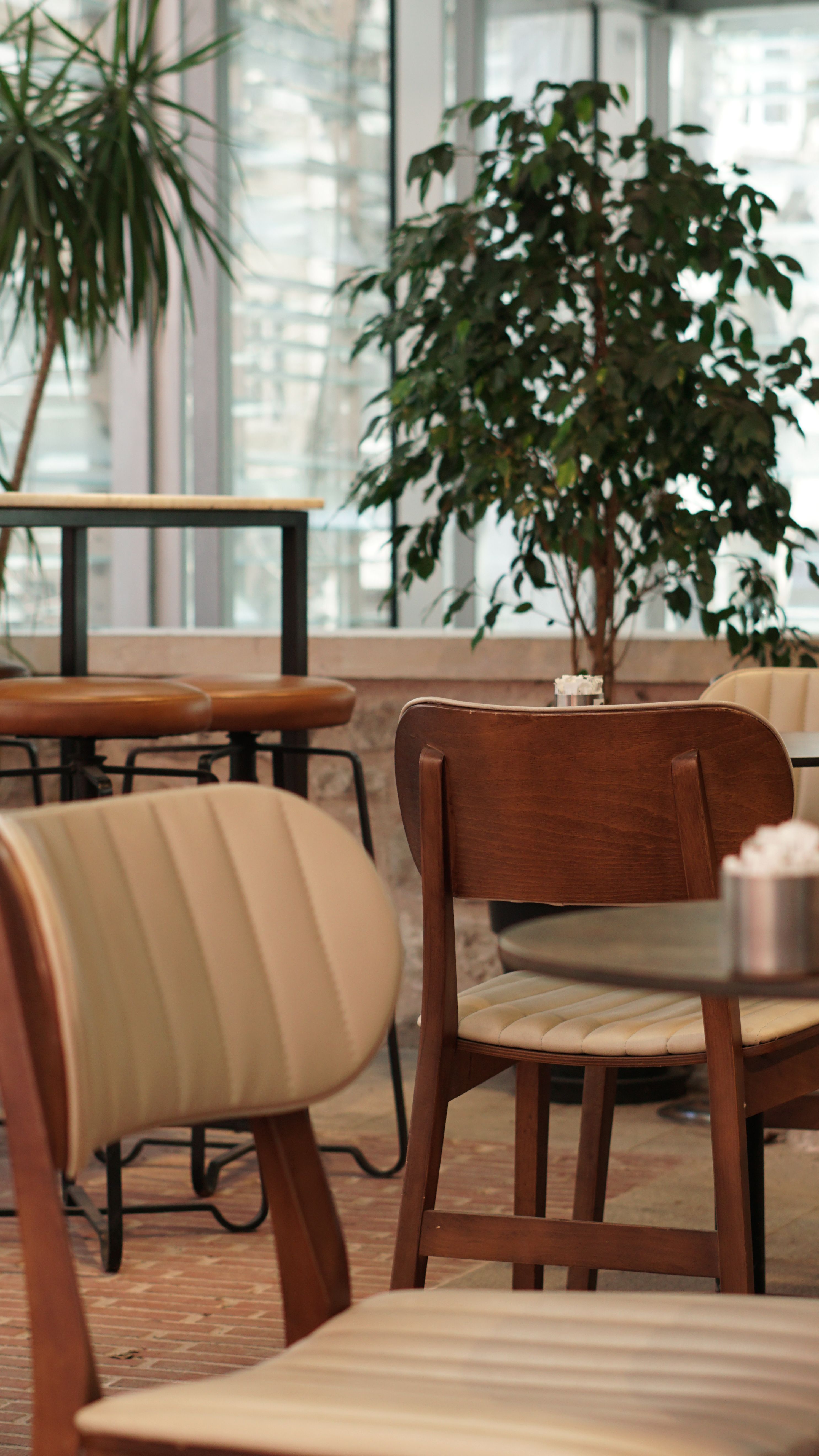Cafe · Free Stock Photo