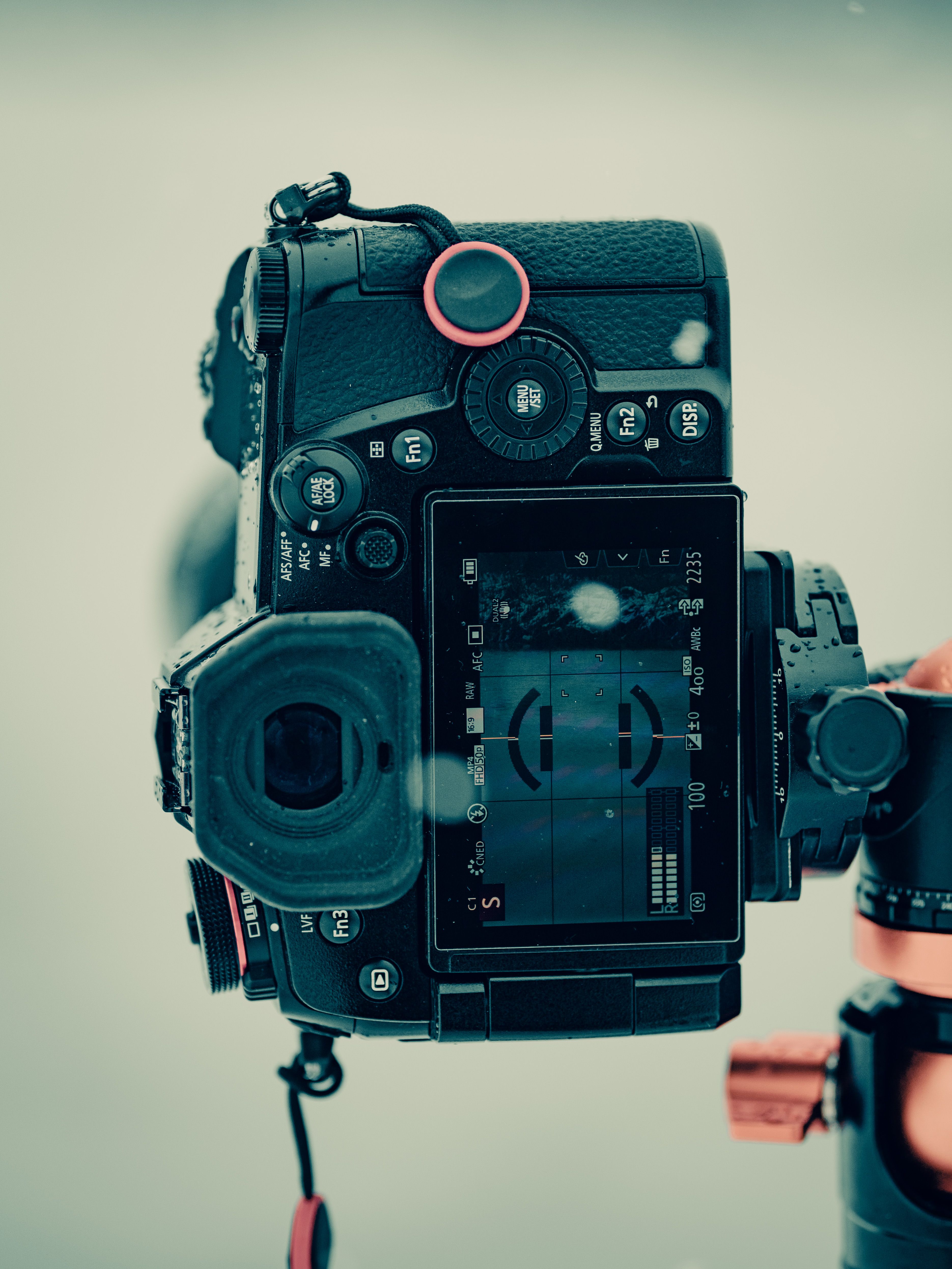 Close-up of the Back of an SLR Camera · Free Stock Photo