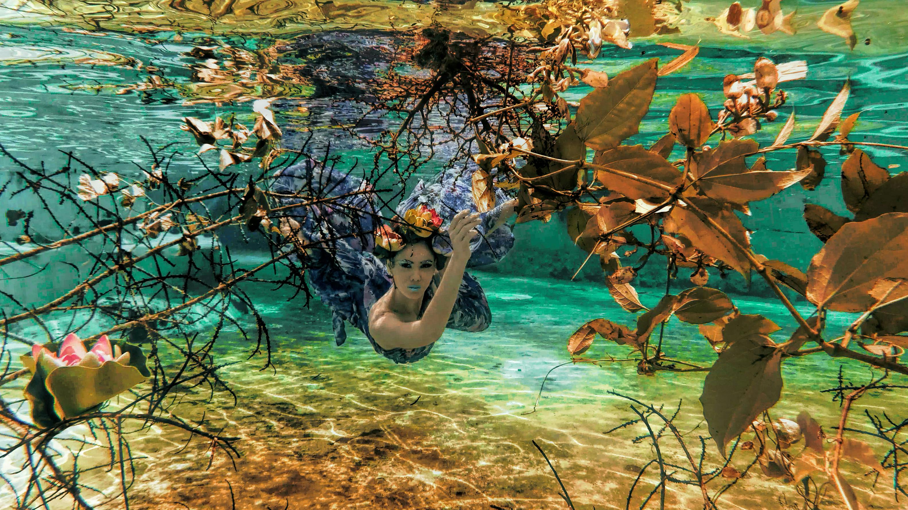 Woman in Blue Dress Diving · Free Stock Photo