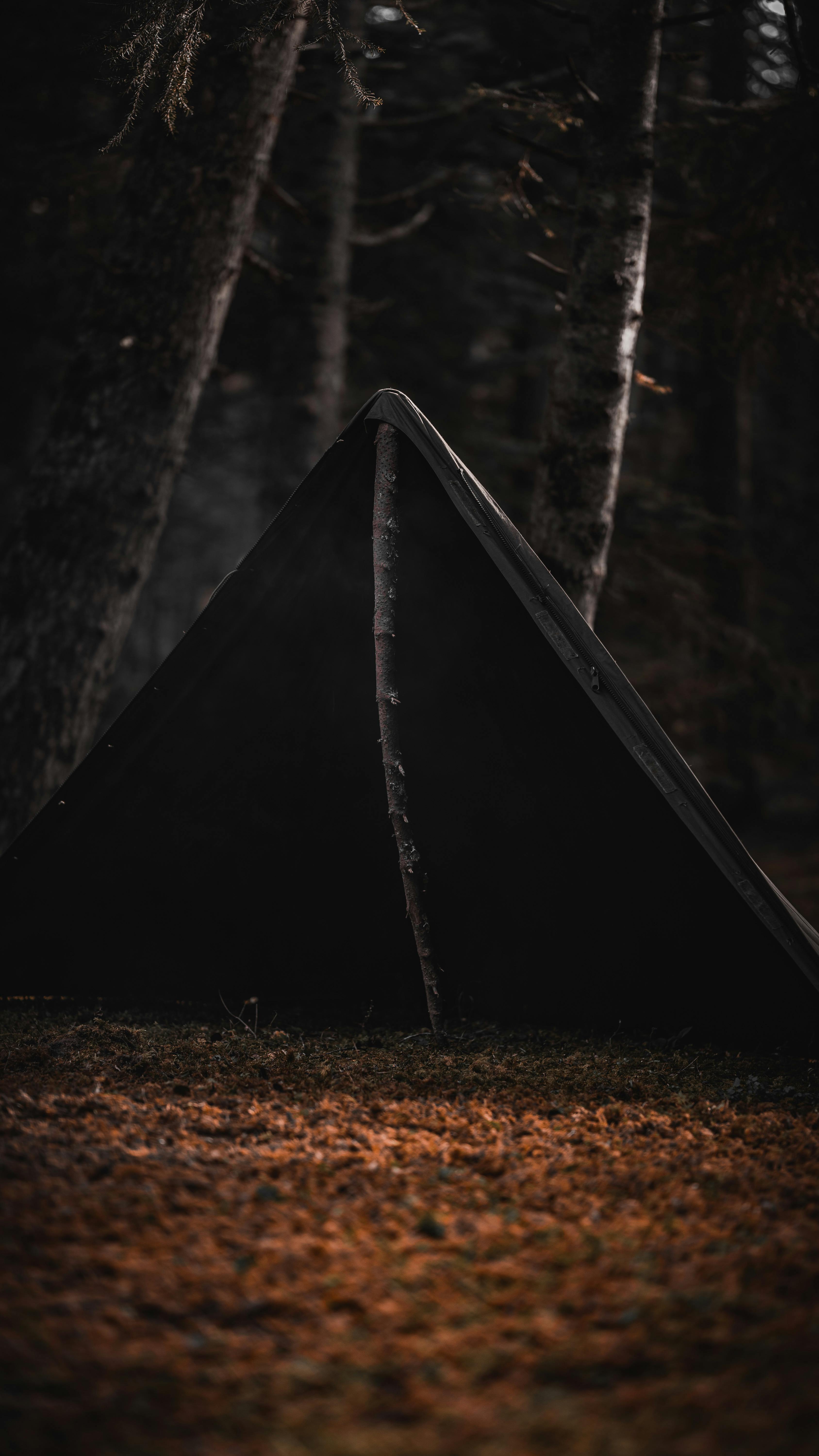 Amir Alpha Photos, Download The BEST Free Amir Alpha Stock Photos & HD ...