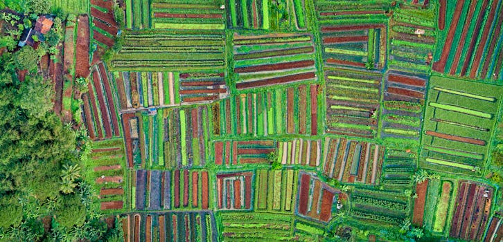 Aerial View Photography of Field · Free Stock Photo