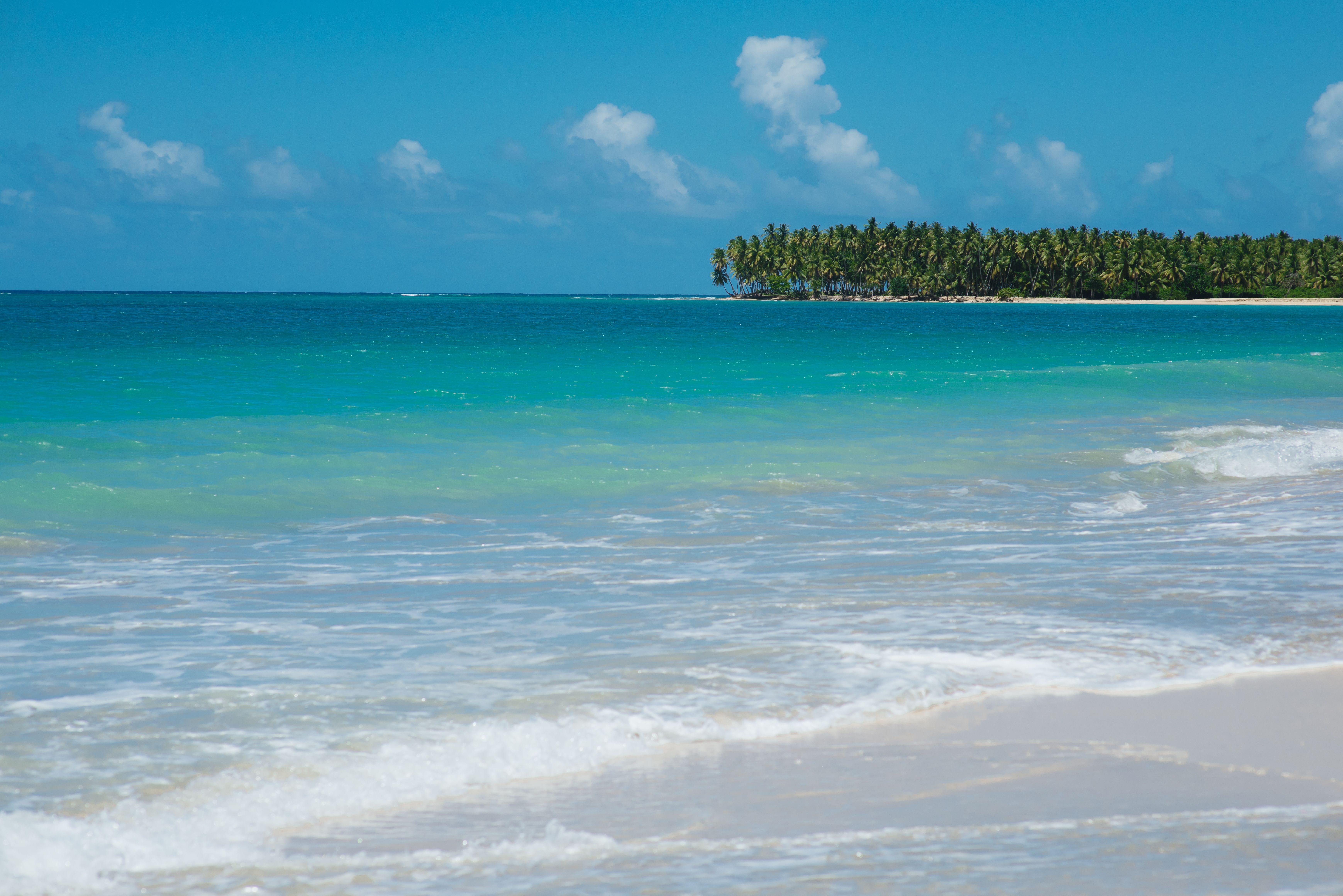 Scenic View of a Tropical Beach · Free Stock Photo