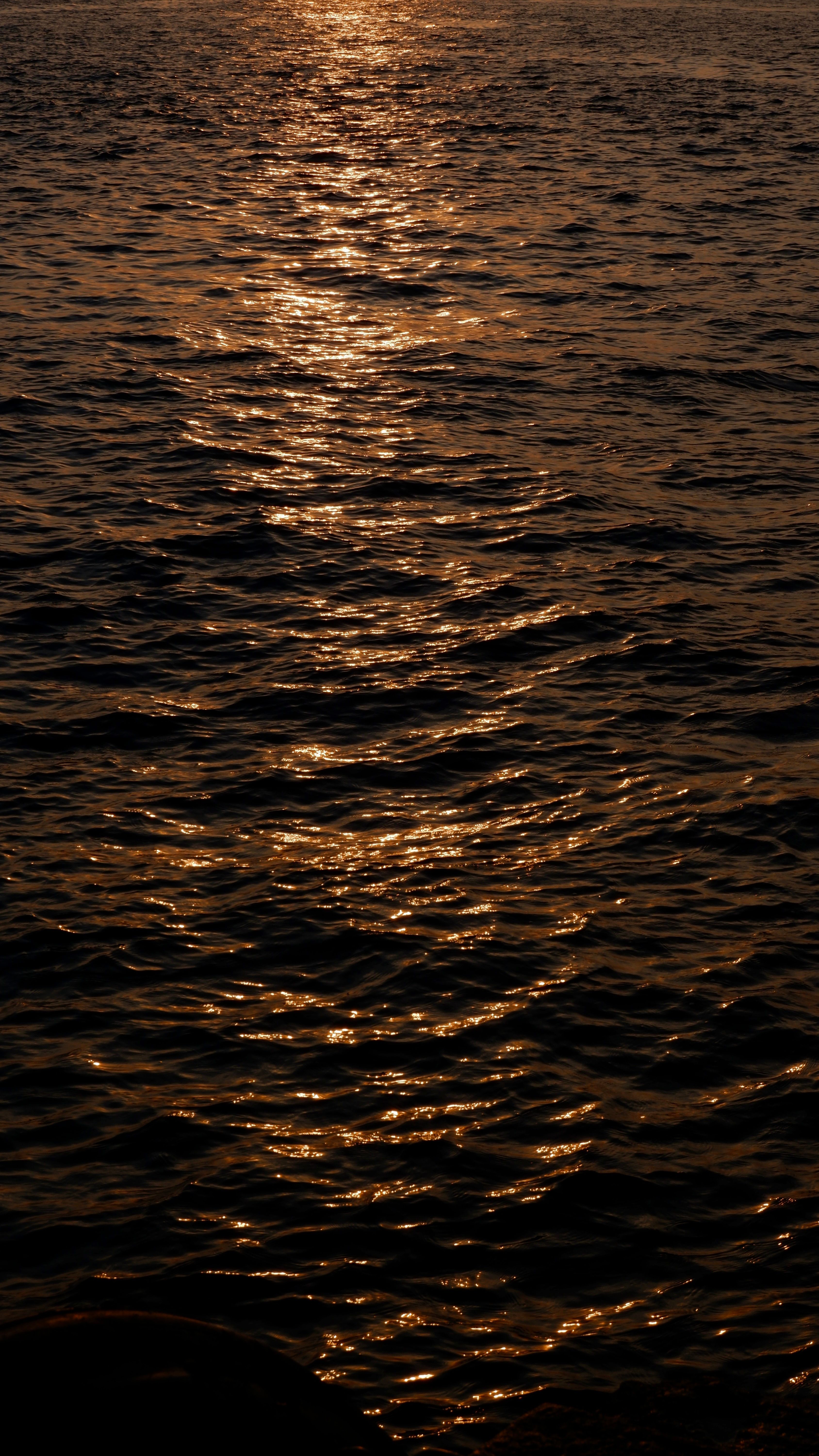 Calm Water Surface on Sunset · Free Stock Photo