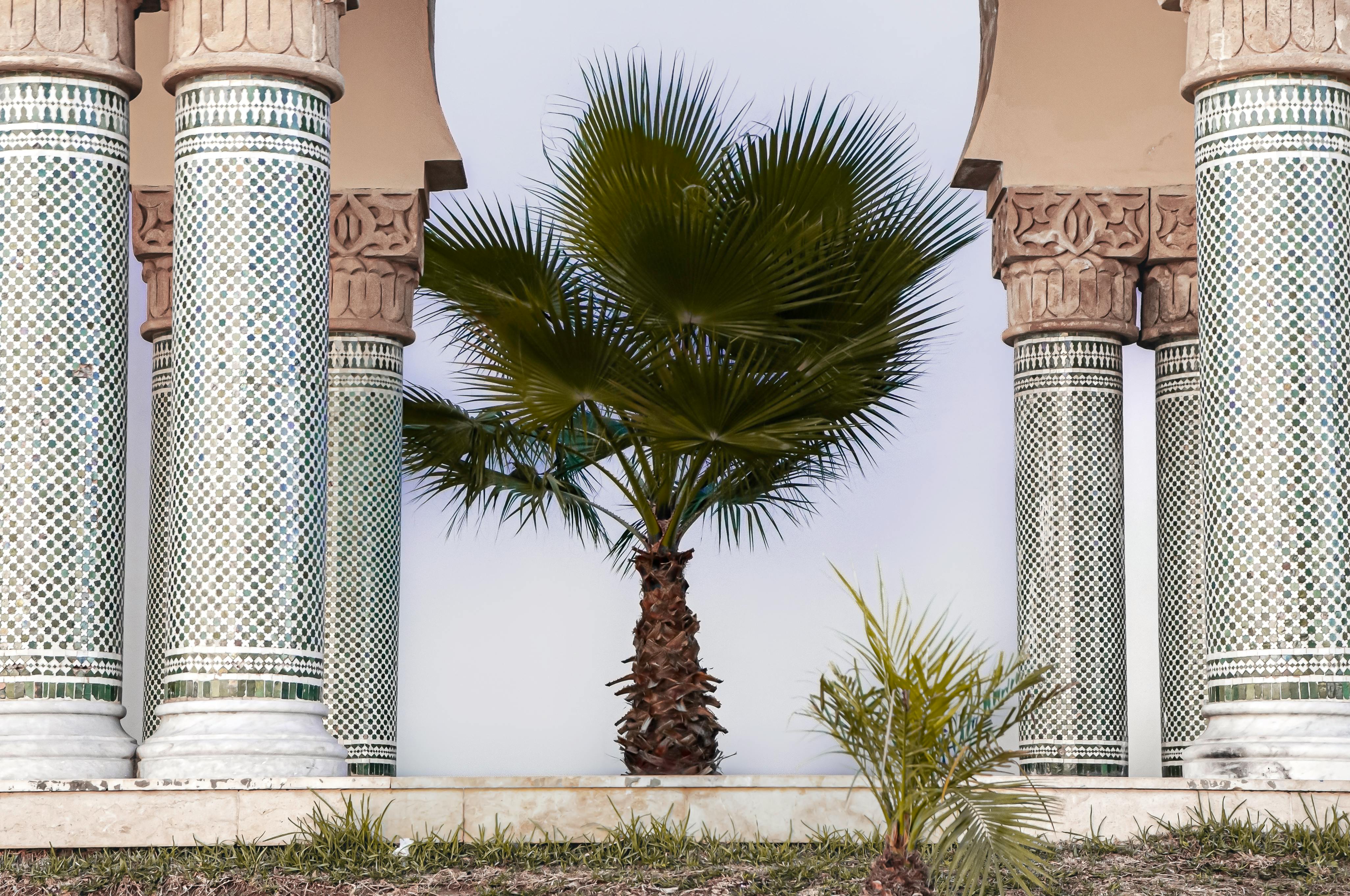 Ornate Columns in Grand Mosque · Free Stock Photo