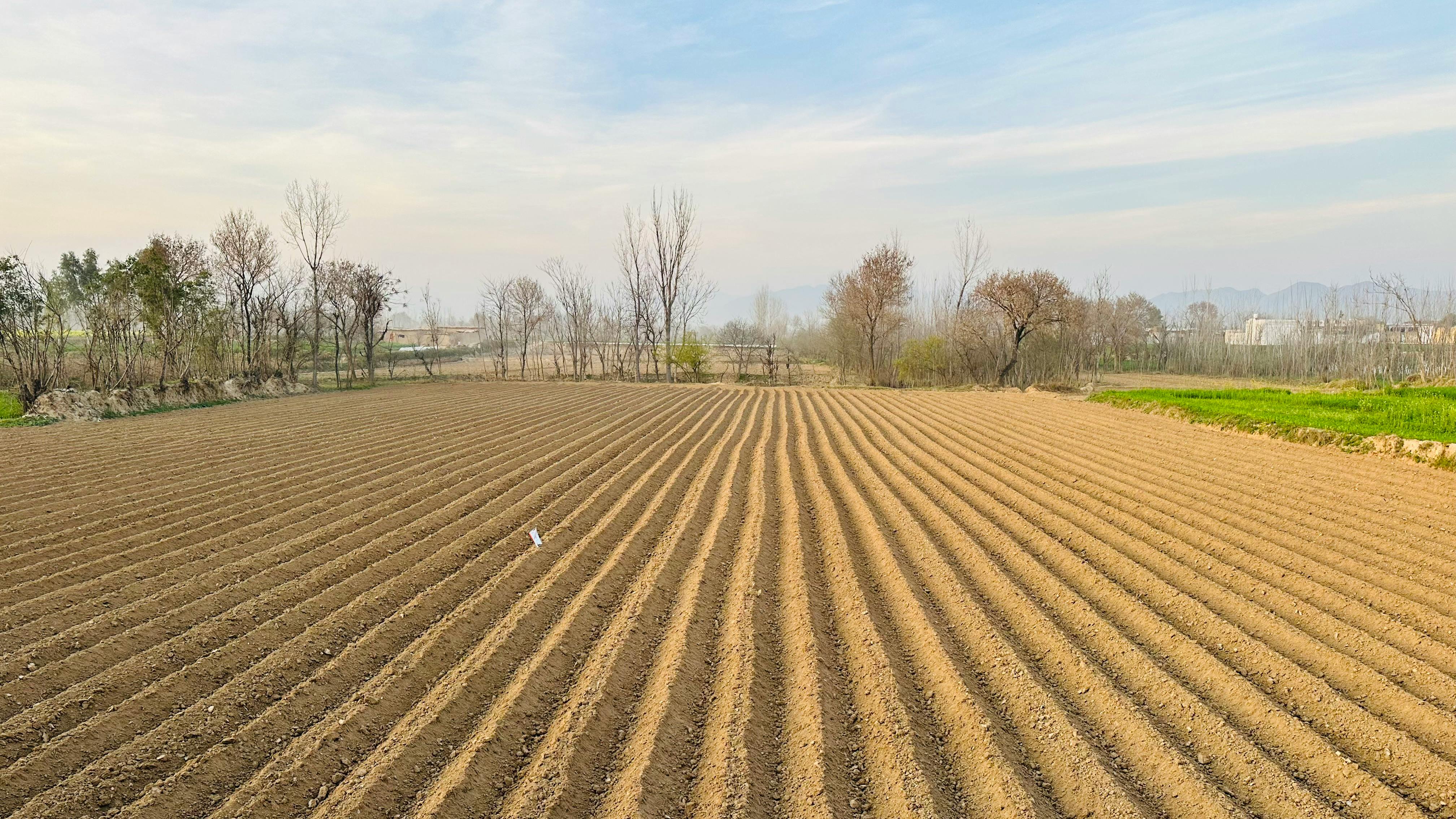 Aman Ullah Khan - Fotografie