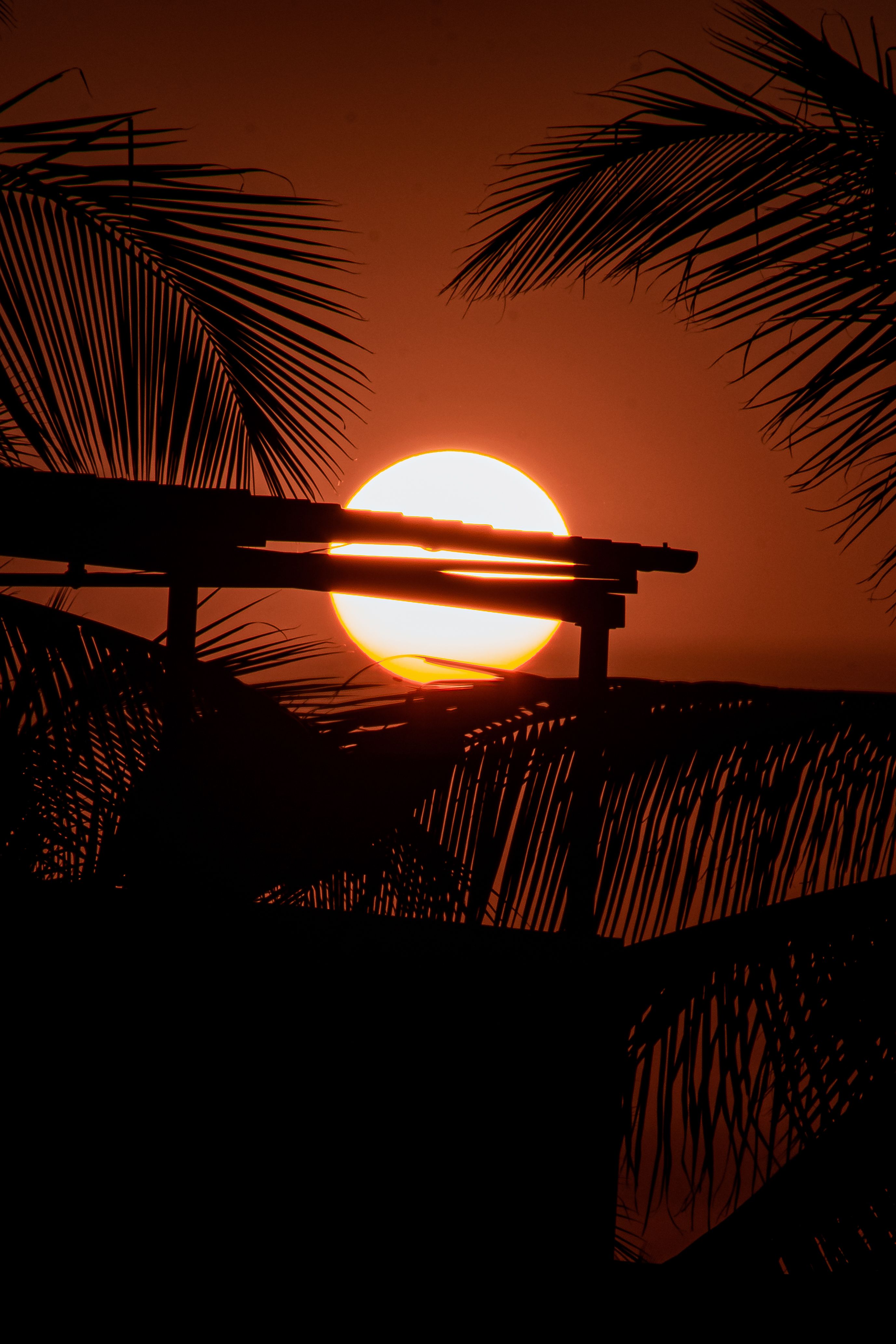 Sun Lat Photos, Download The BEST Free Sun Lat Stock Photos & HD Images