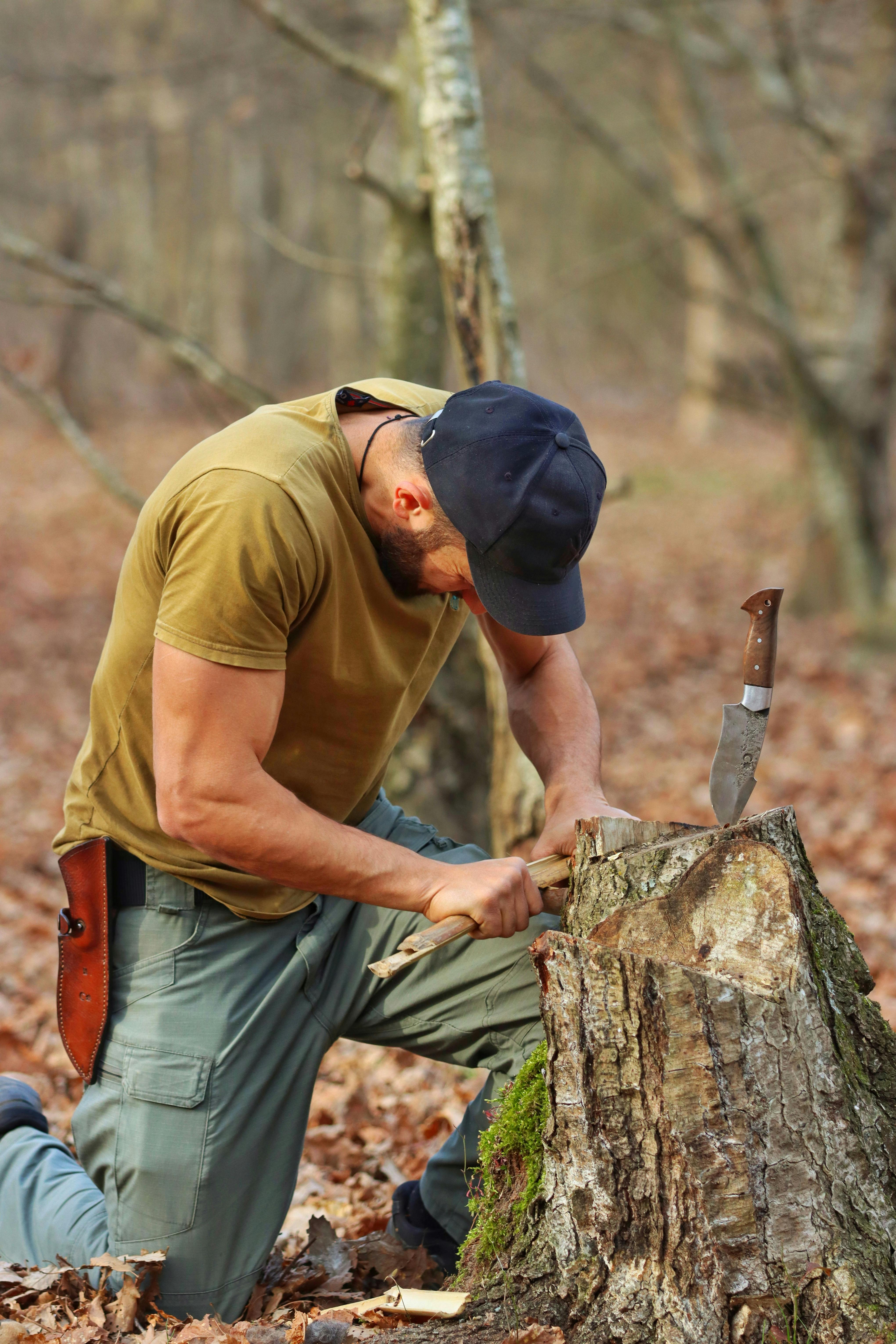 Man Cutting a Tree in a Forest in Fall · Free Stock Photo