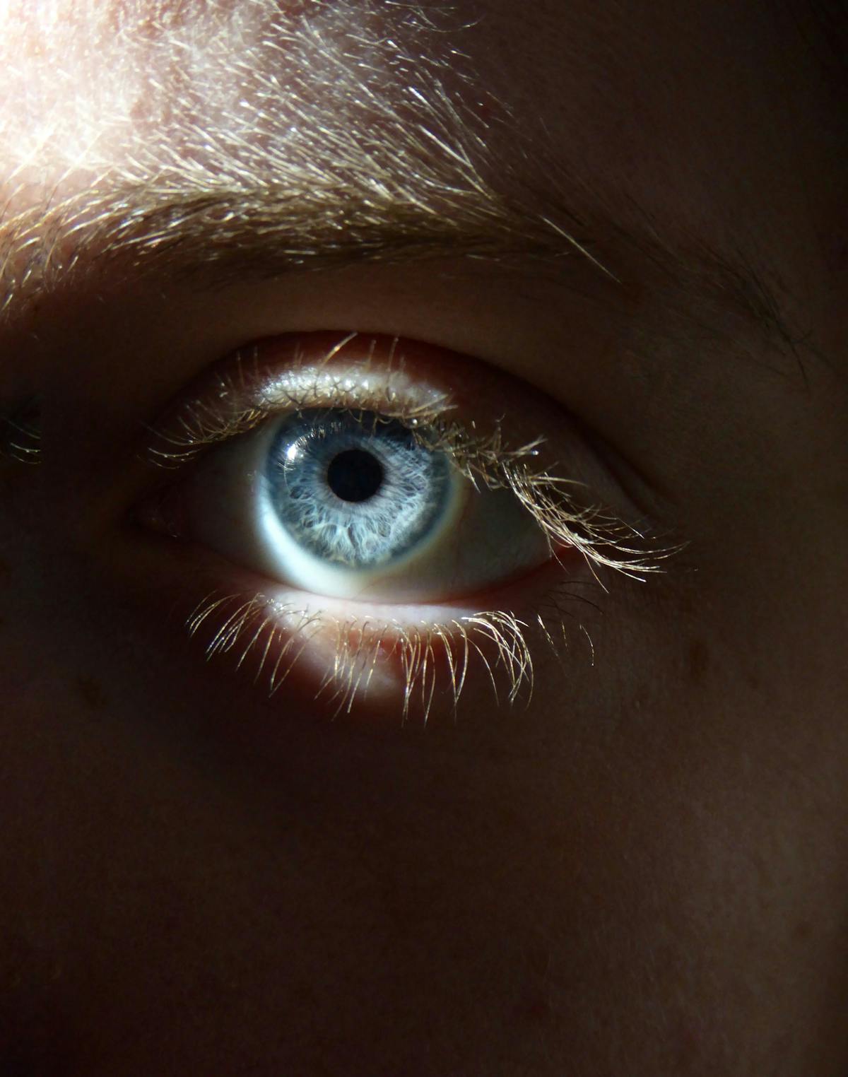 Human Eye Photos, Download The BEST Free Human Eye Stock Photos & HD Images