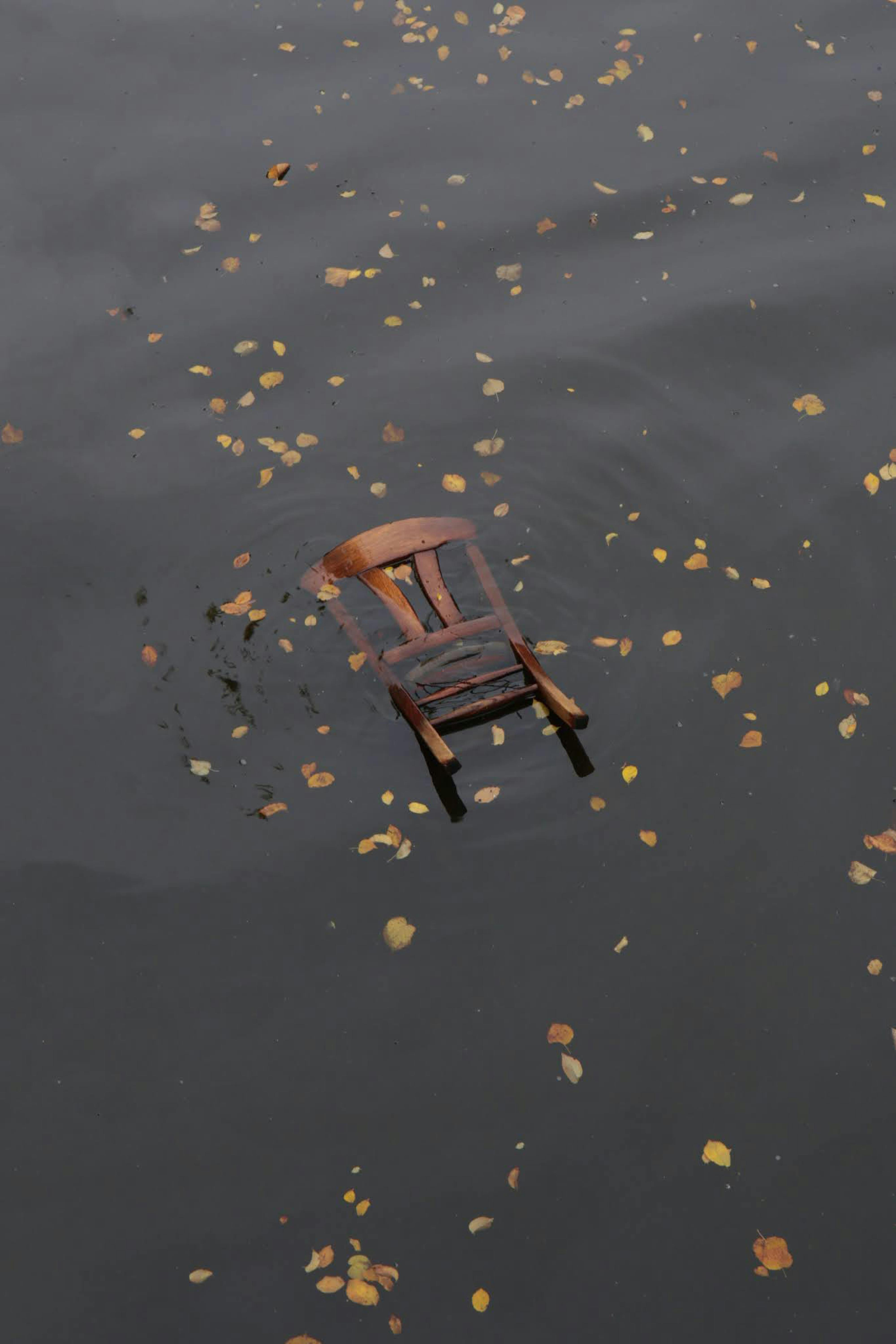Chair Floating in a Lake · Free Stock Photo