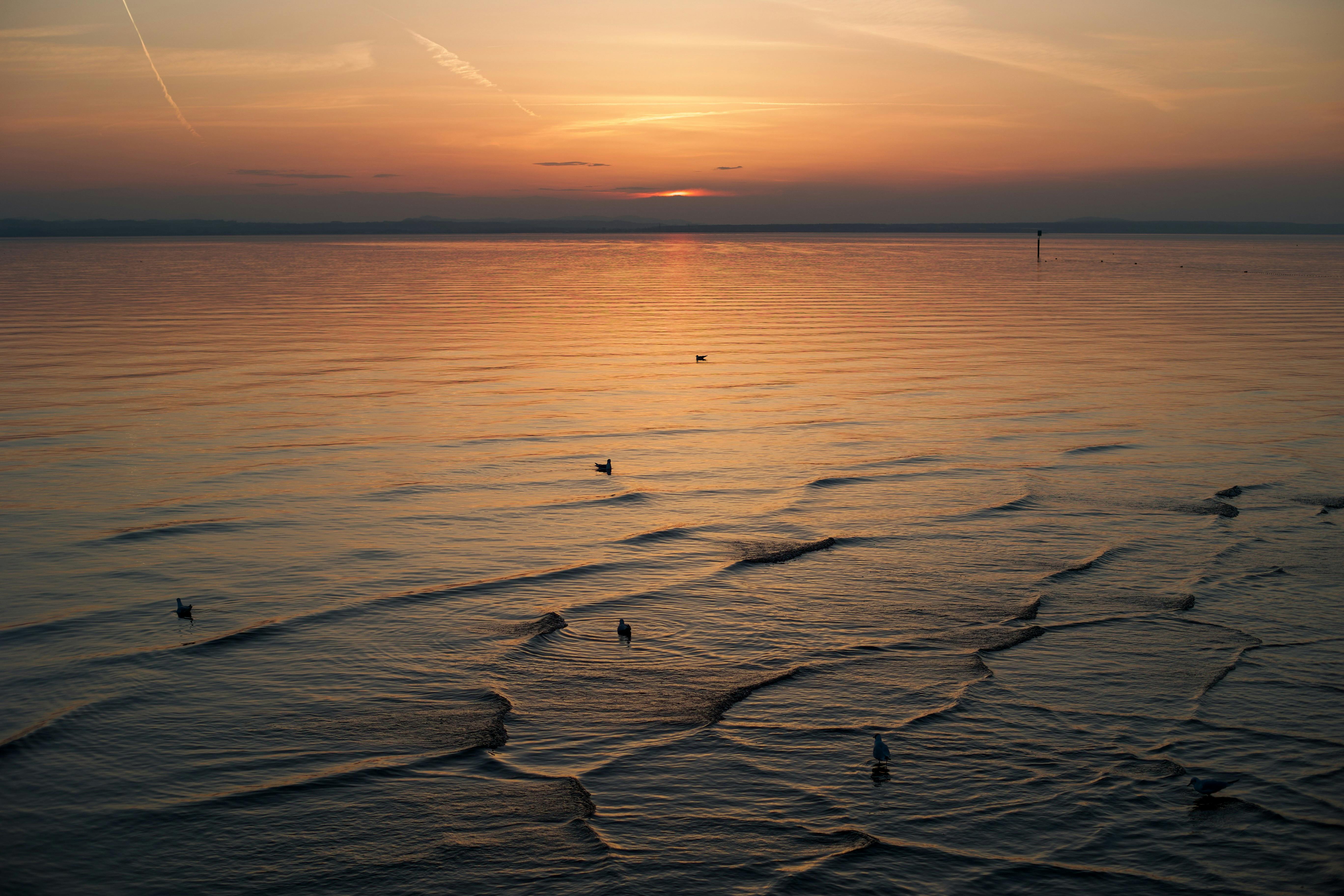 Seascapes Photos, Download The BEST Free Seascapes Stock Photos & HD Images