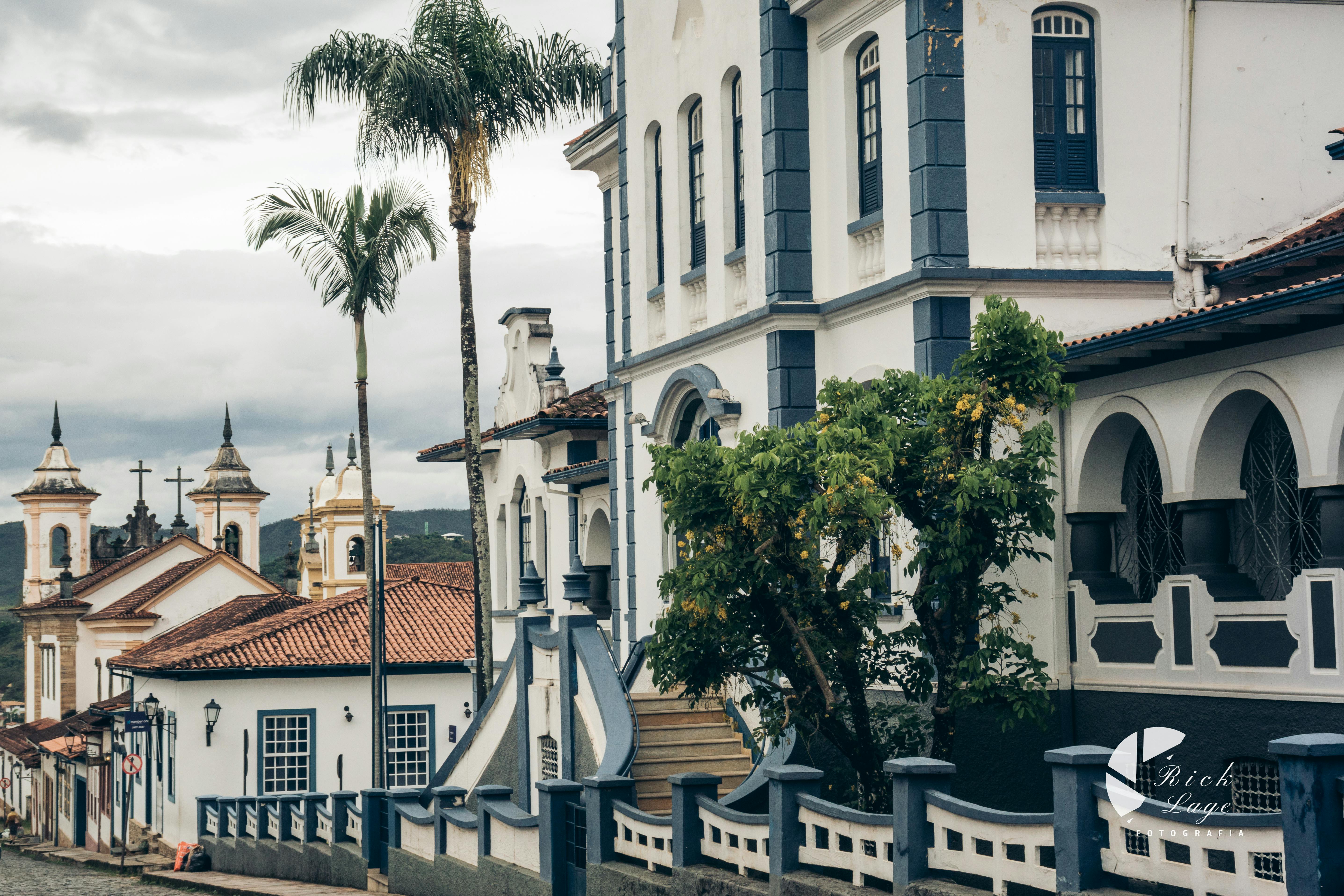 Trees near Buildings on Street in Town · Free Stock Photo