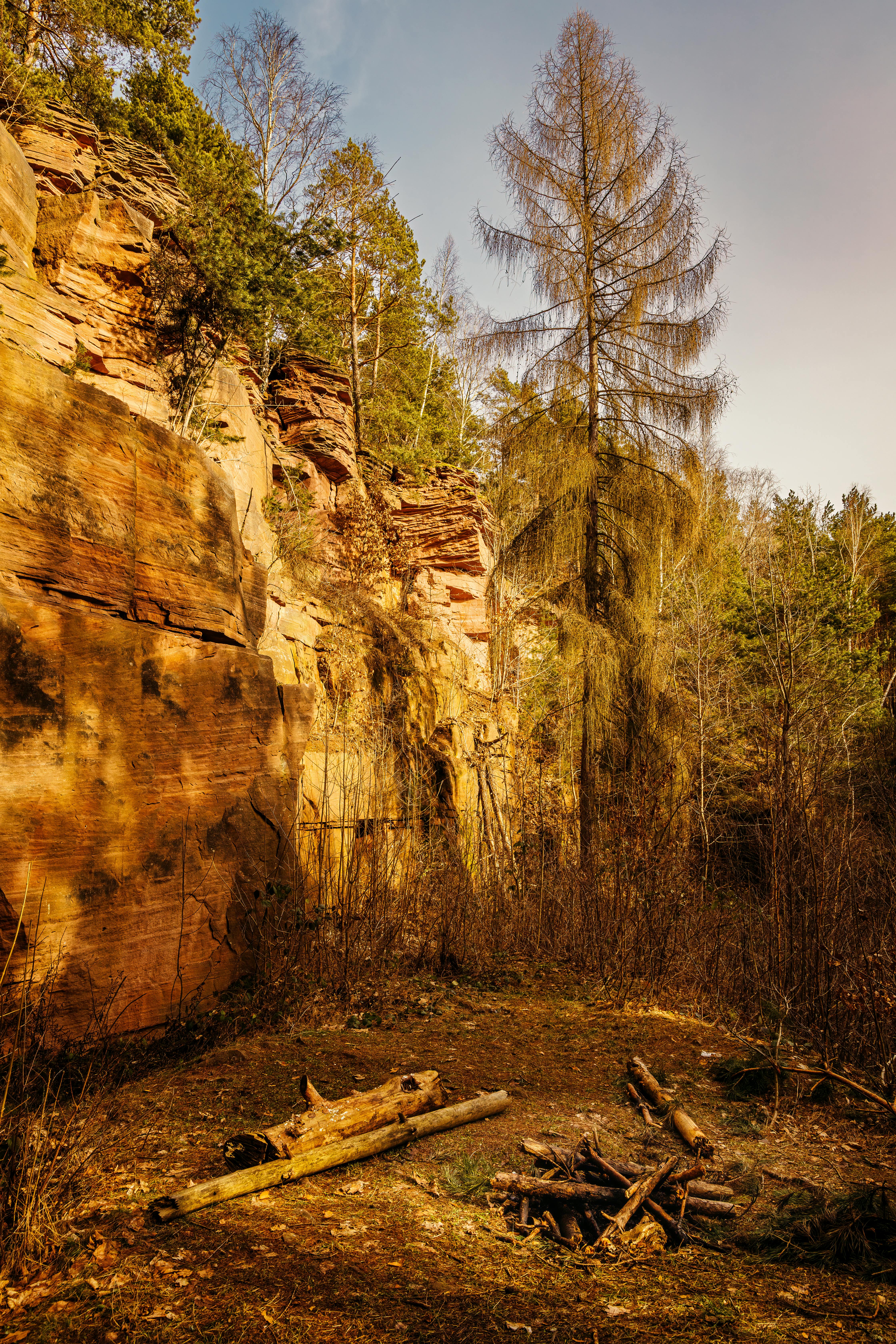 Cliff in Forest · Free Stock Photo