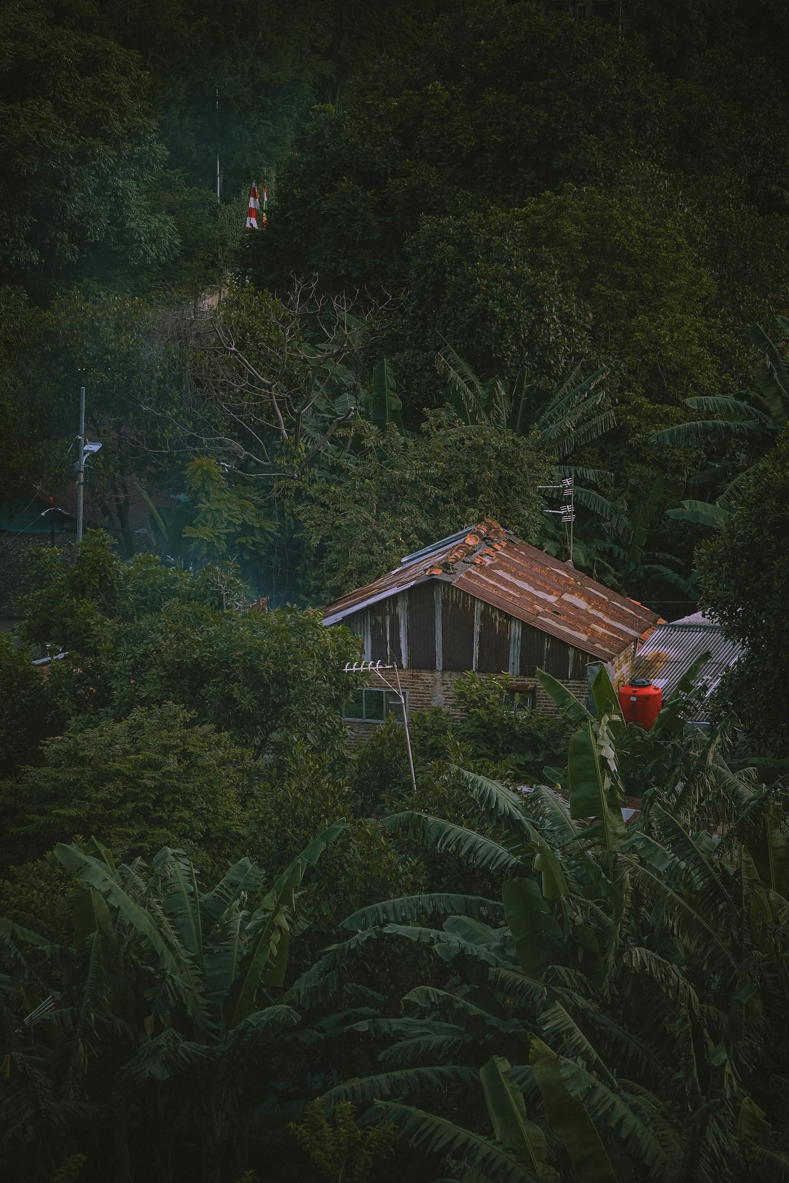 Rainforest House Photos, Download The BEST Free Rainforest House Stock ...