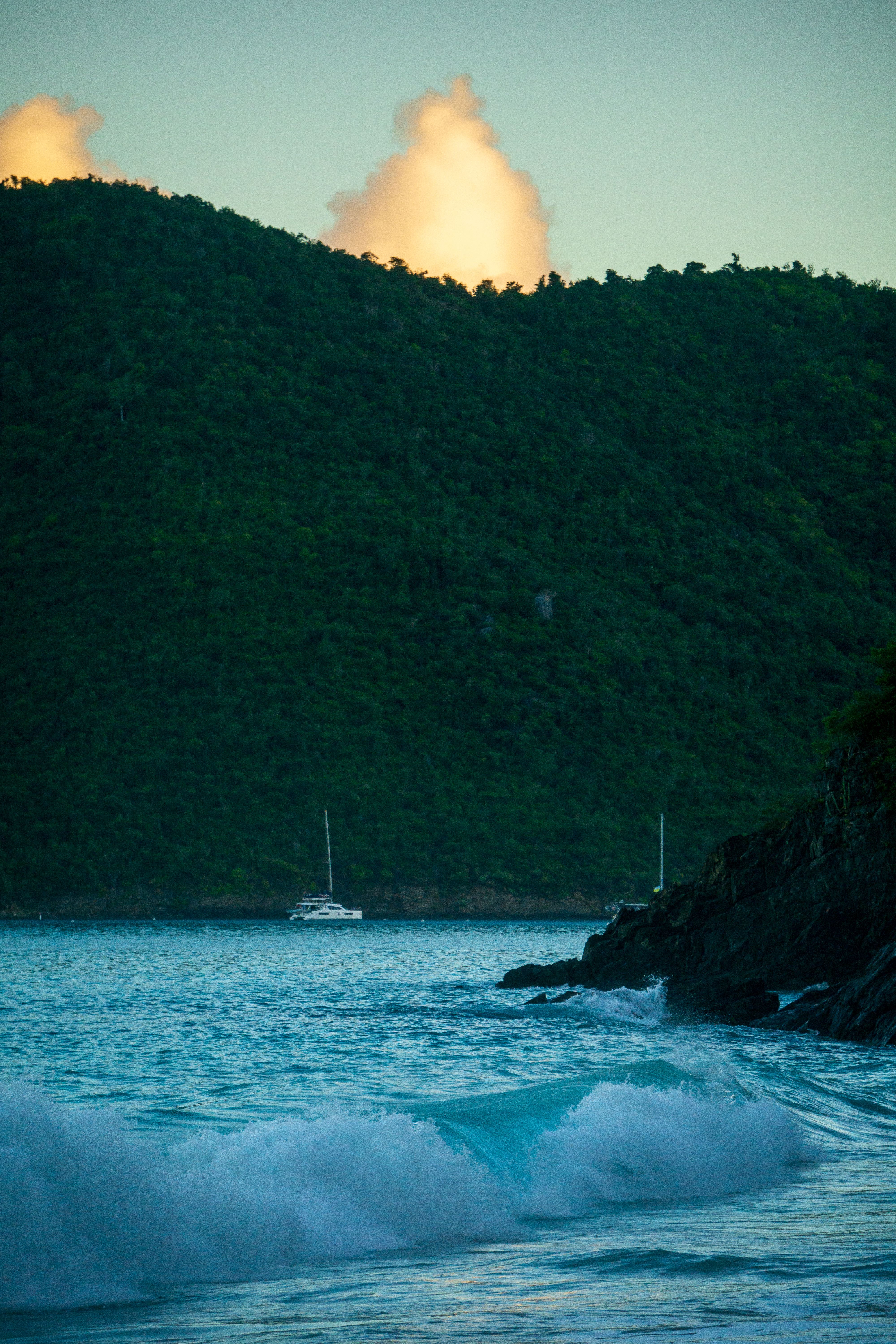 Forest on the Hills Behind the High Tide · Free Stock Photo