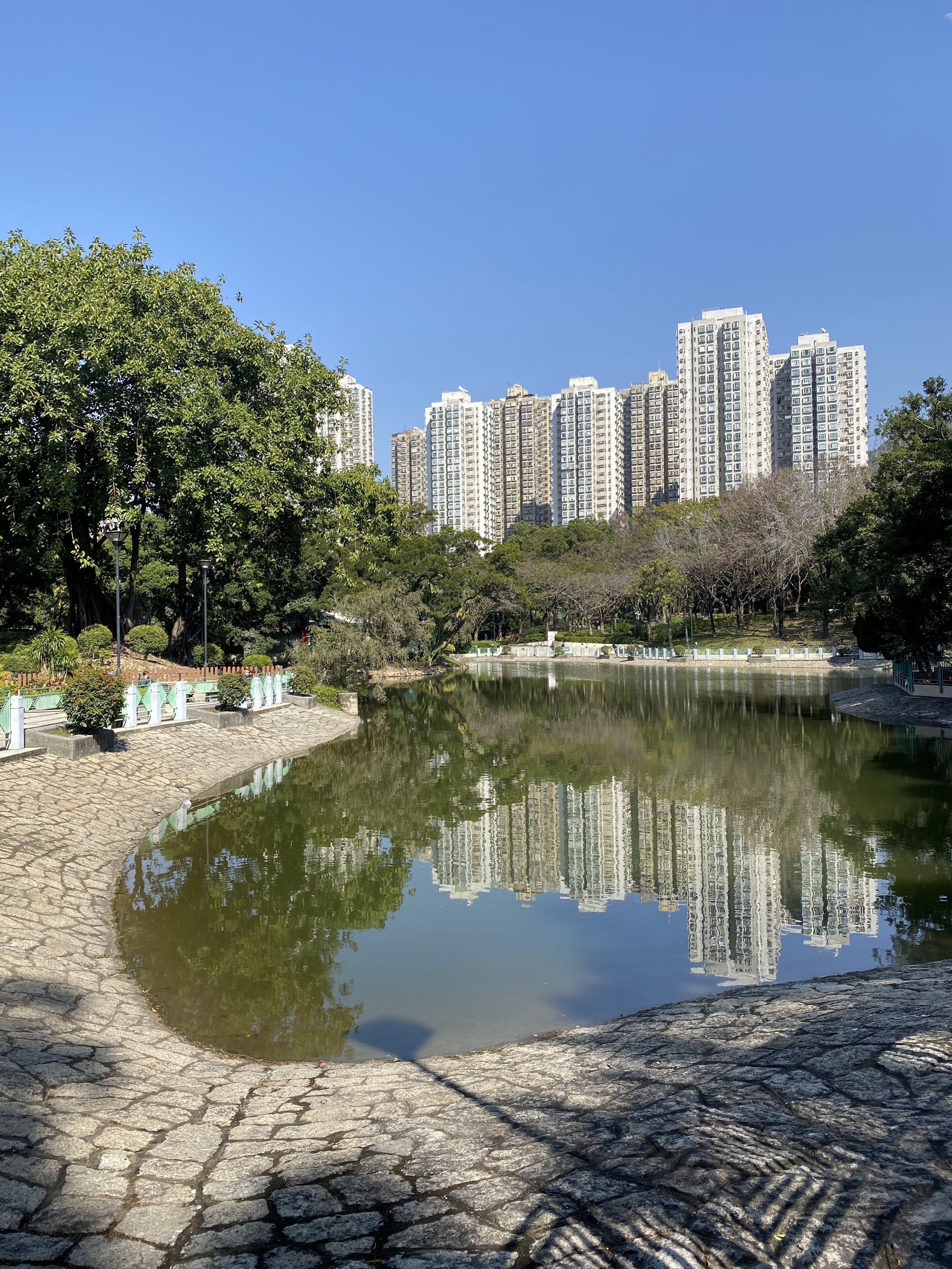 Residential Buildings Reflecting in Pond · Free Stock Photo