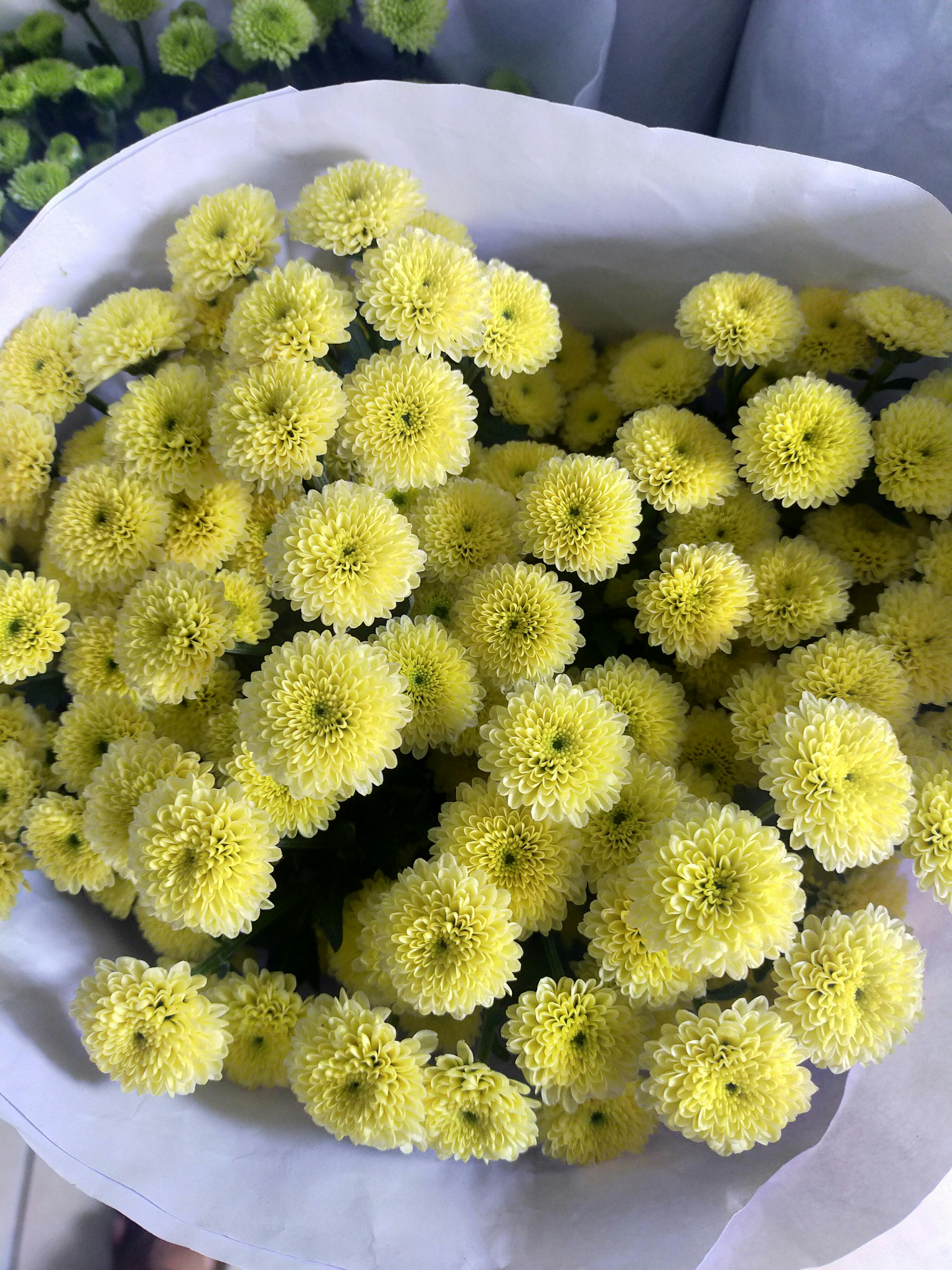 Lovely Bunch of Flowers · Free Stock Photo