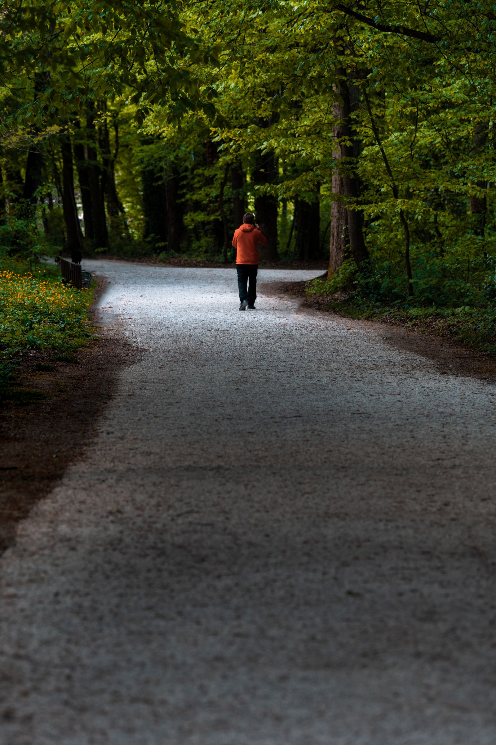 Man Walking Away Photos, Download The BEST Free Man Walking Away Stock ...