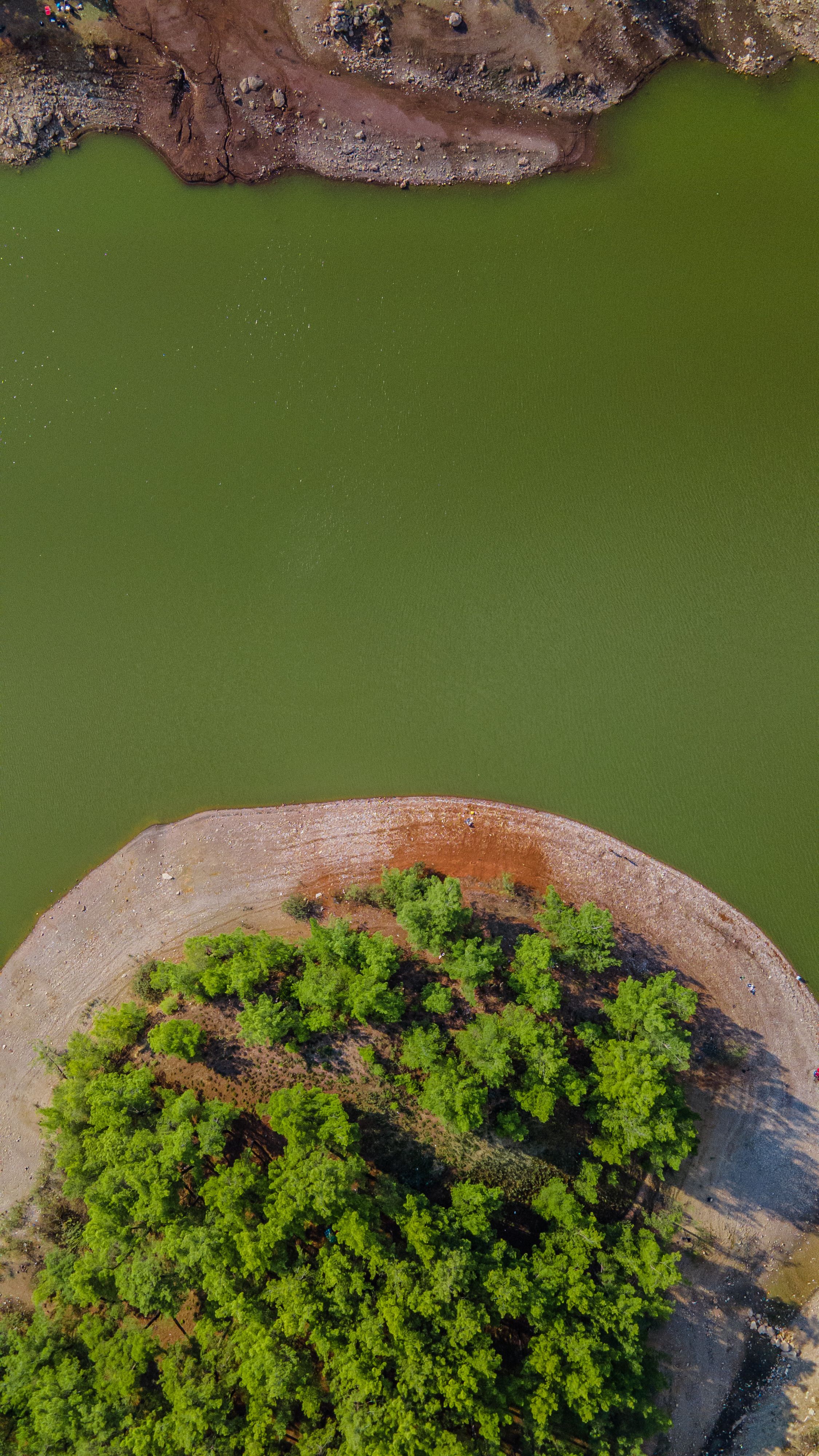 Top View of a River and Trees on the Riverbank · Free Stock Photo