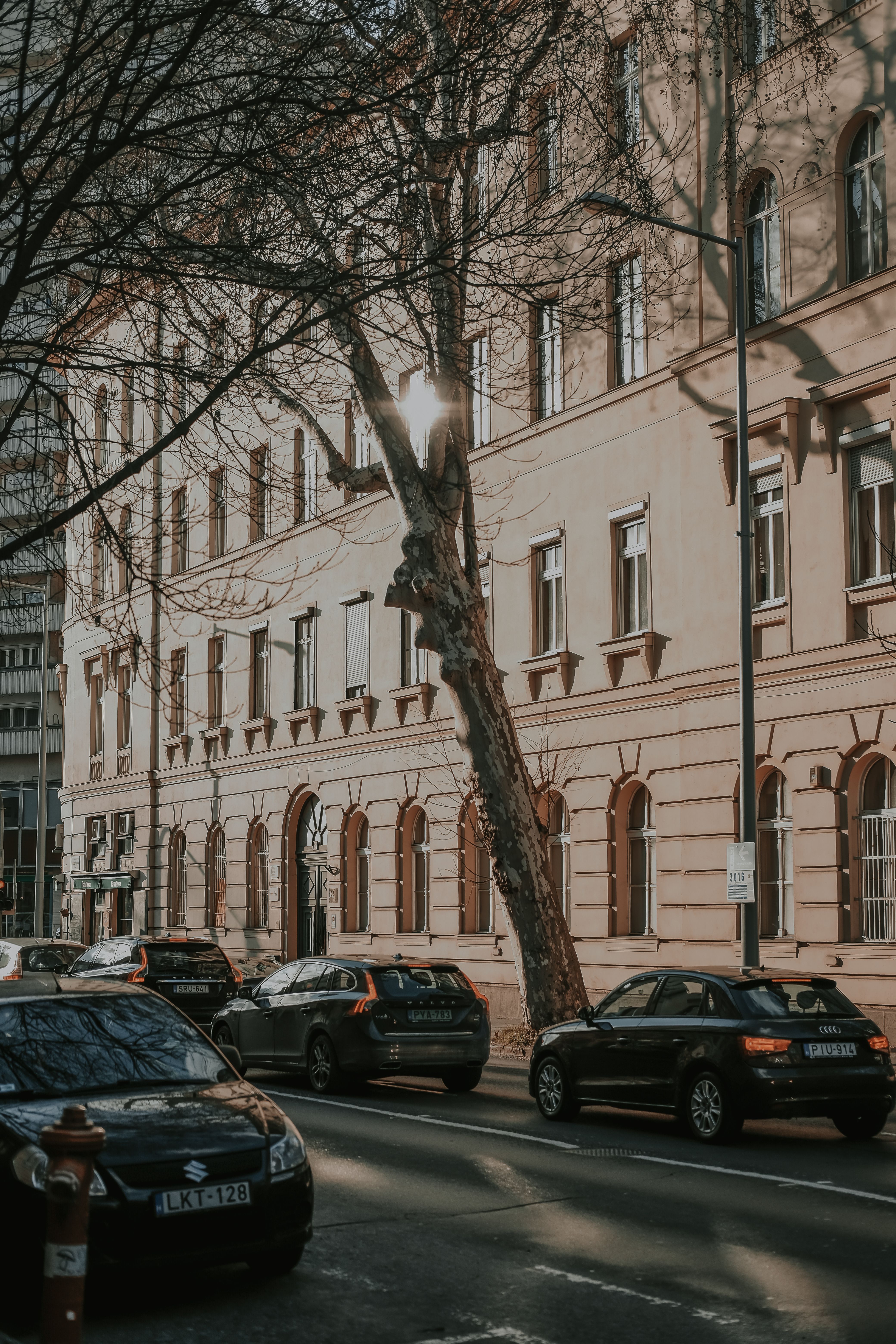 Cars parked on the street in front of a building · Free Stock Photo