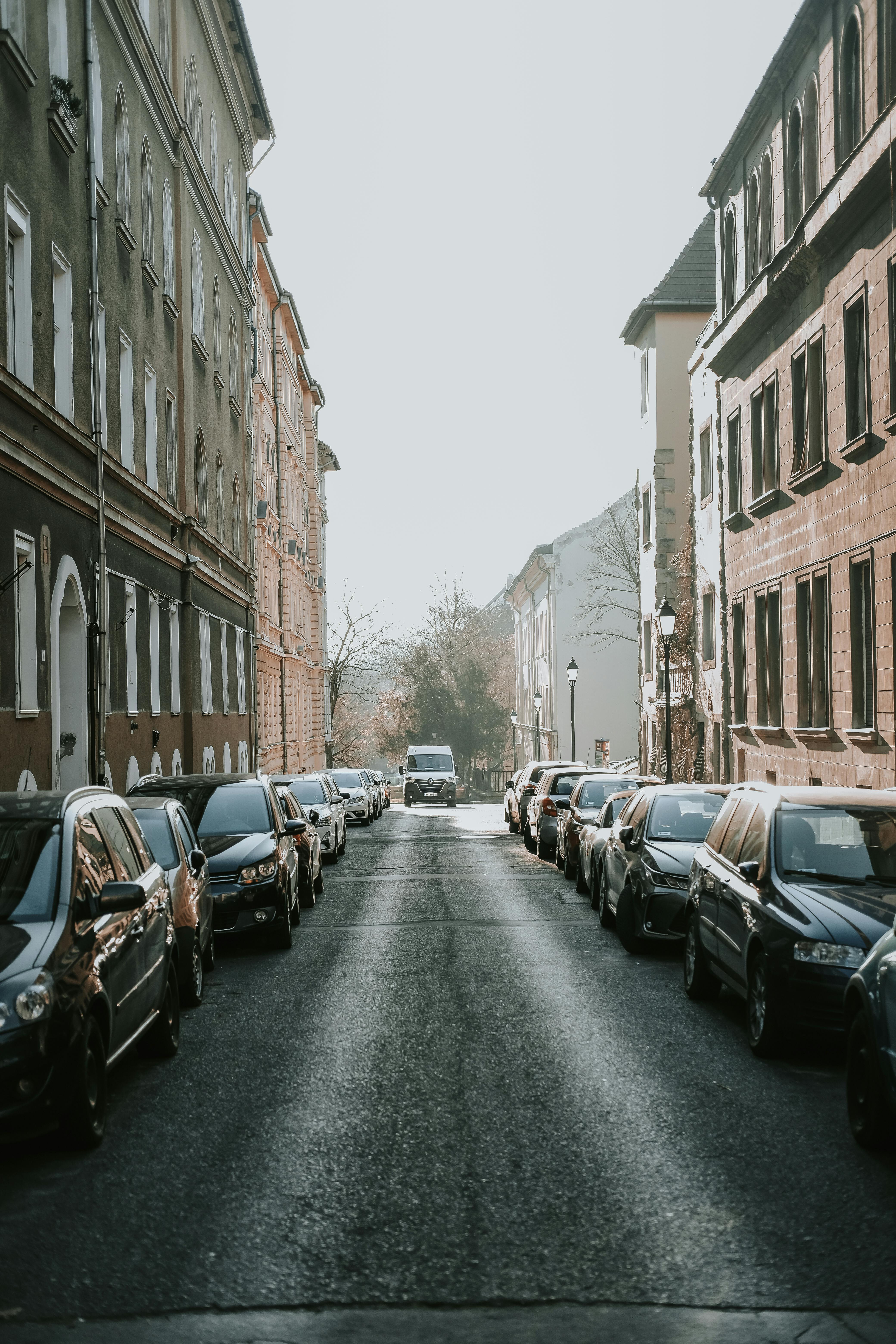 Windows 11 Wallpaper Nature Morning Photos, Download The BEST Free ...