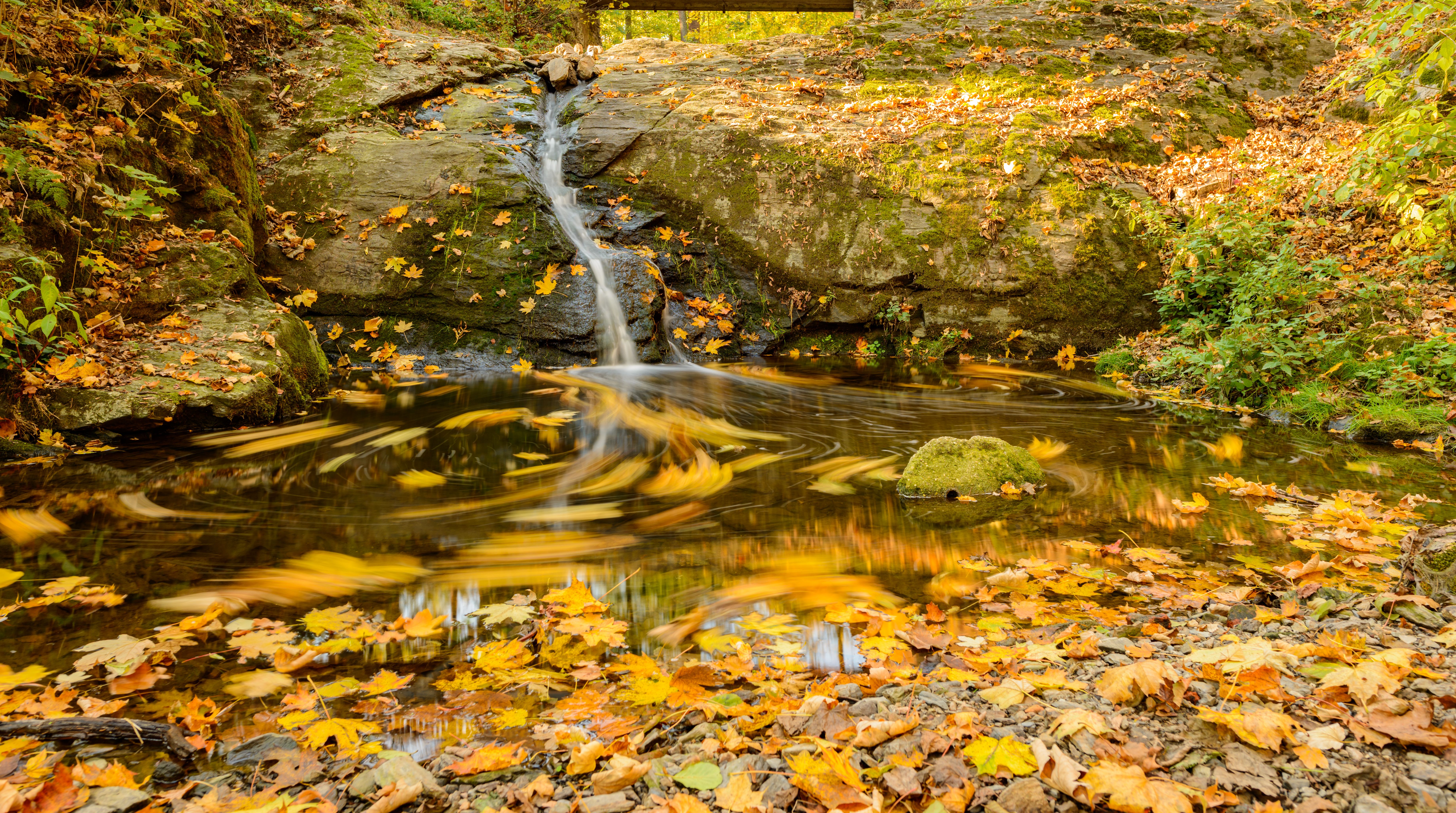 Mountain Stream and Autumn Leaves · Free Stock Photo