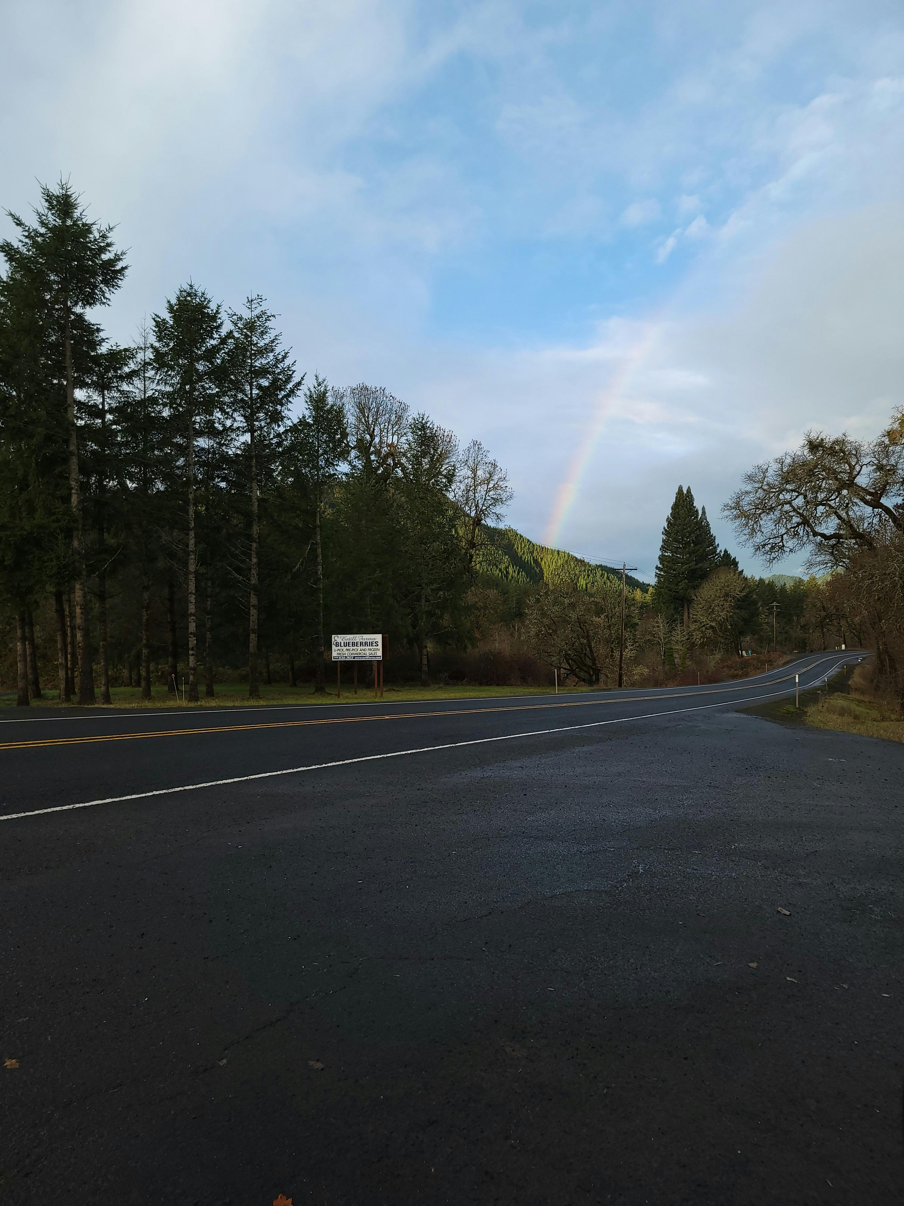 Asphalt Road Pathway Scenery · Free Stock Photo