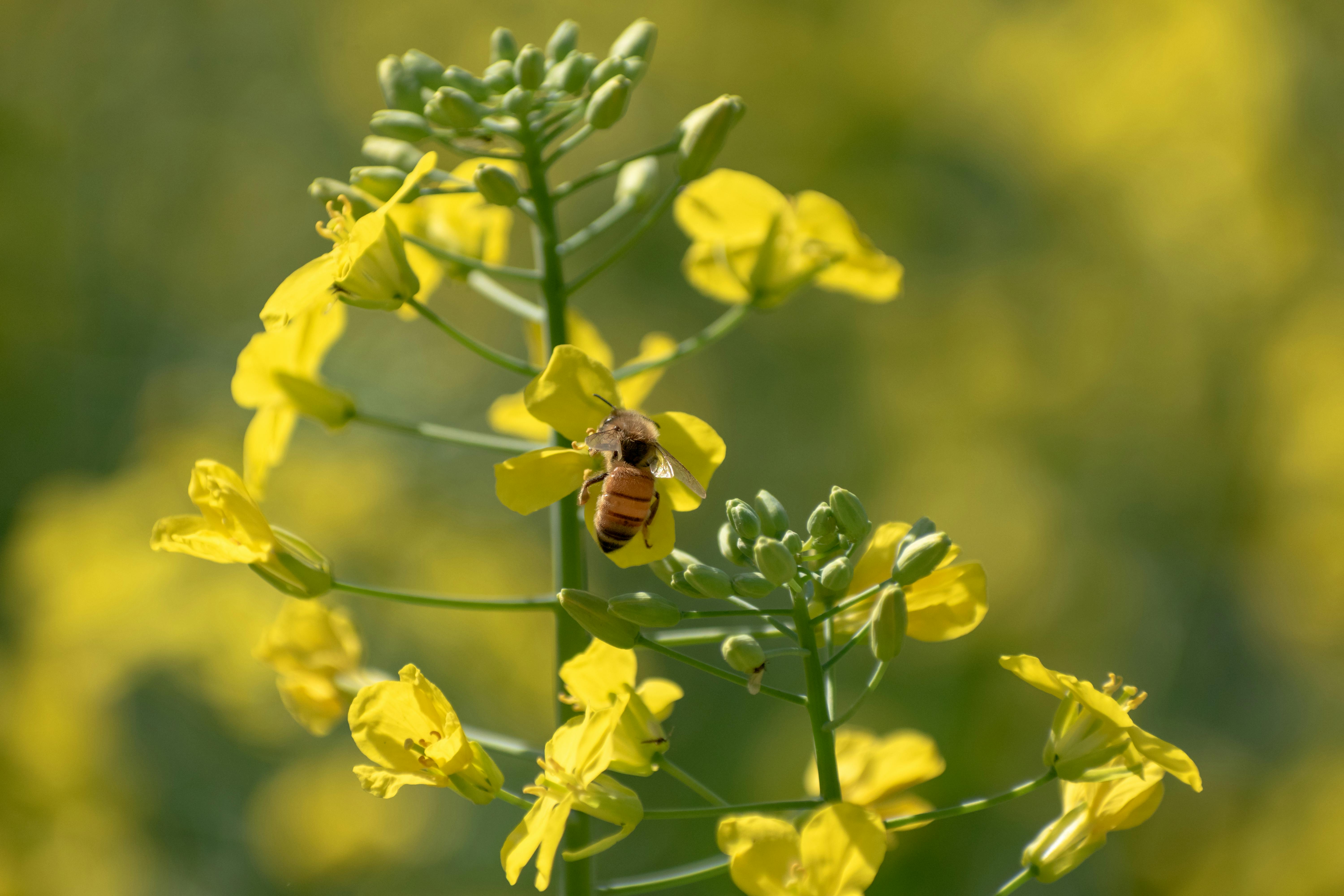 Nature Gathering Photos, Download The BEST Free Nature Gathering Stock ...