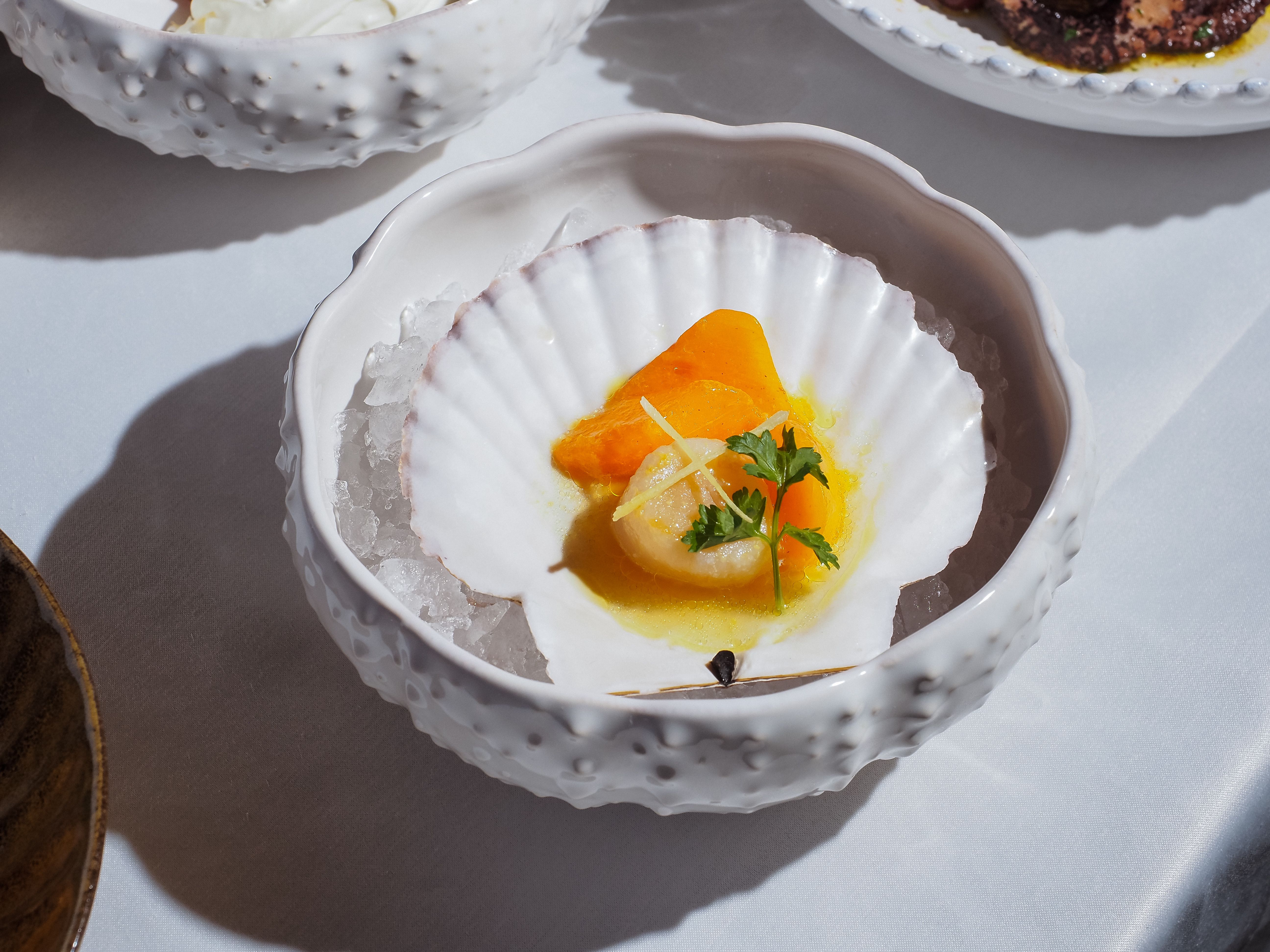 Close up of a Dish · Free Stock Photo