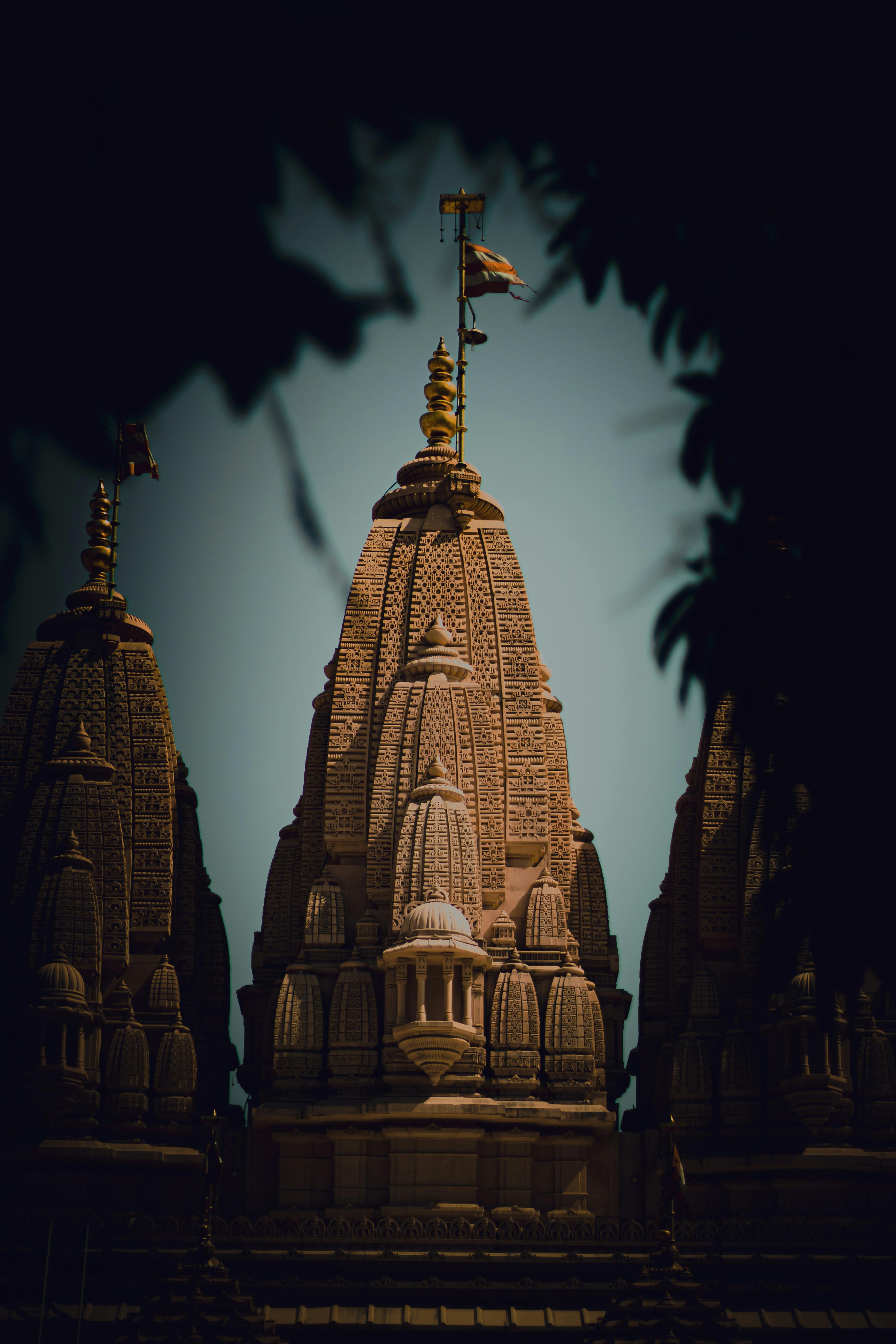 Tree and Tower · Free Stock Photo