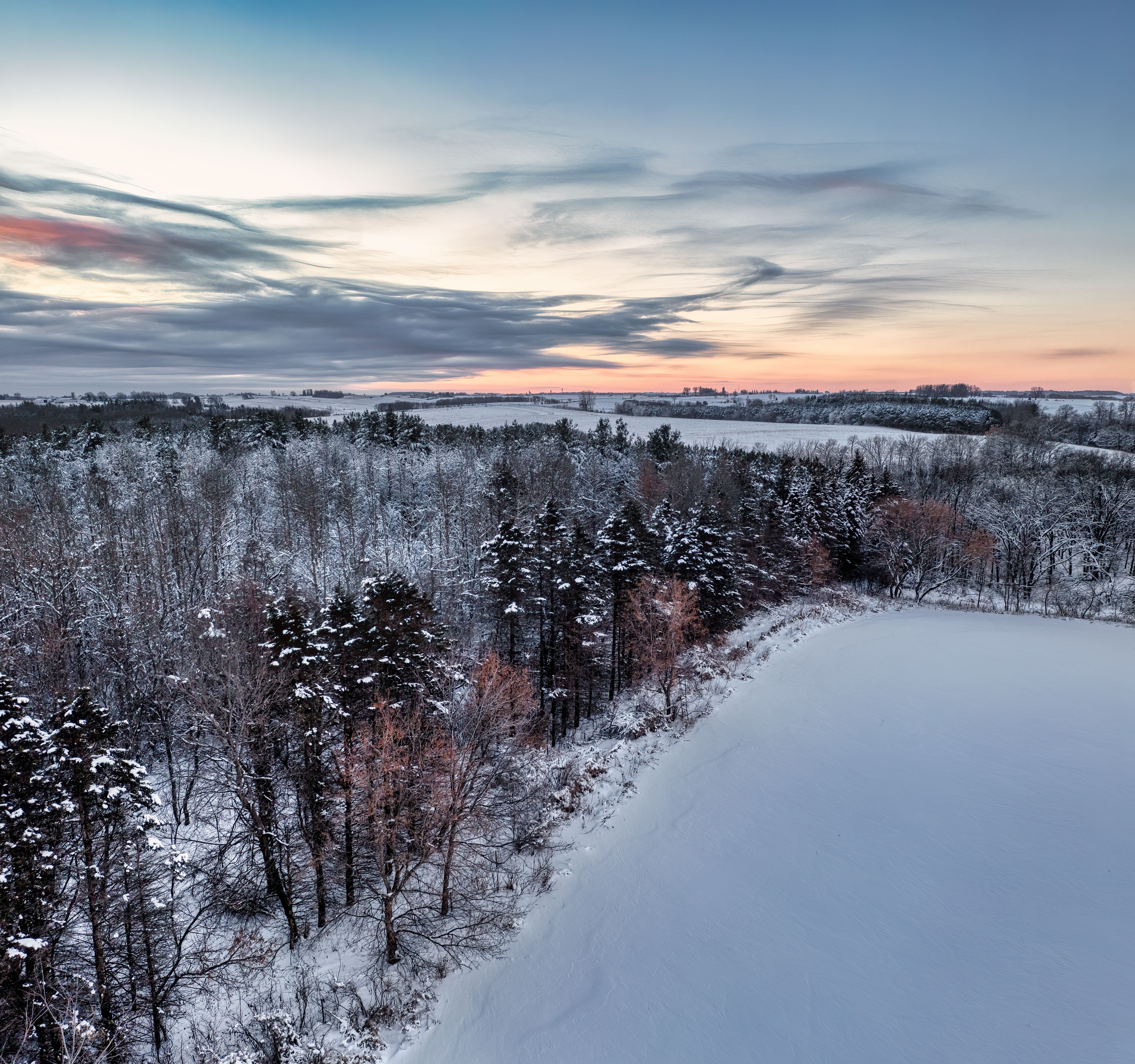 Trees in Snow Growing in Winter Landscape · Free Stock Photo