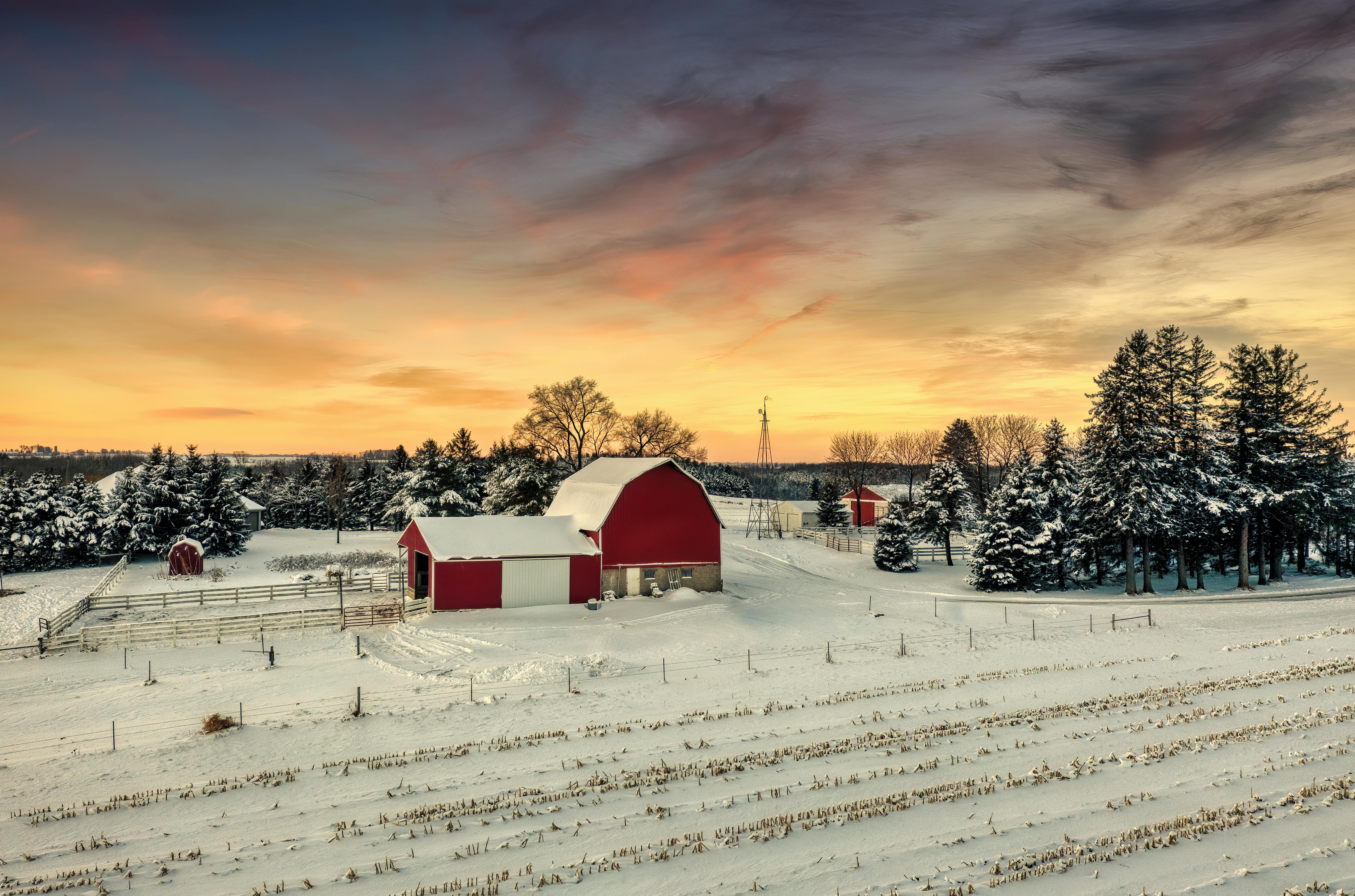 Buildings on a Farm Covered in Snow · Free Stock Photo