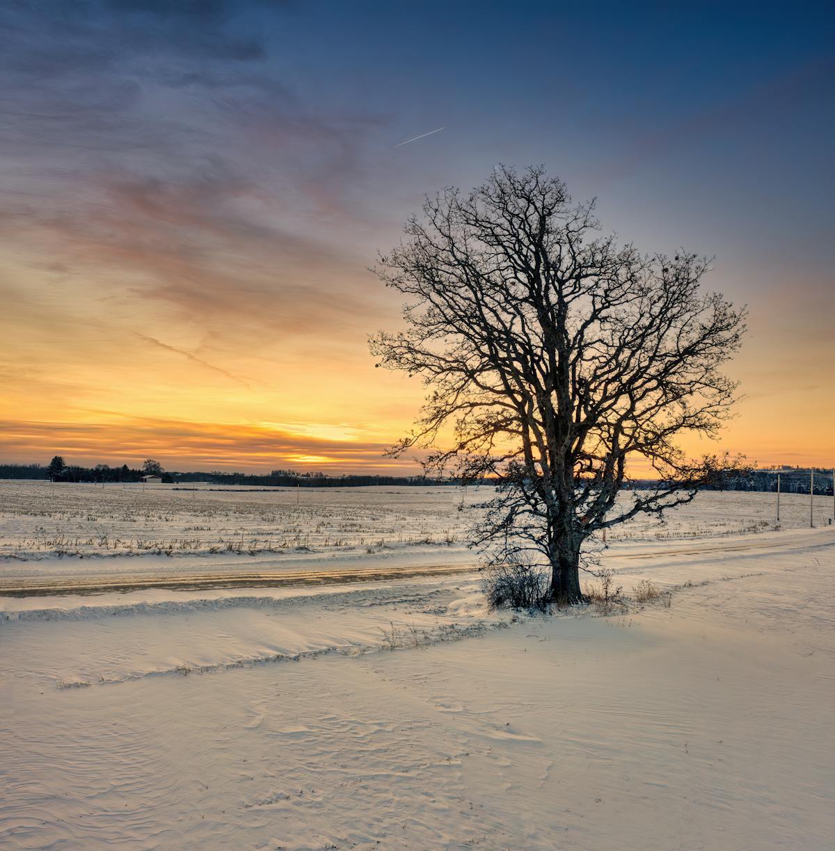 Winter Solstice Photos, Download The BEST Free Winter Solstice Stock ...