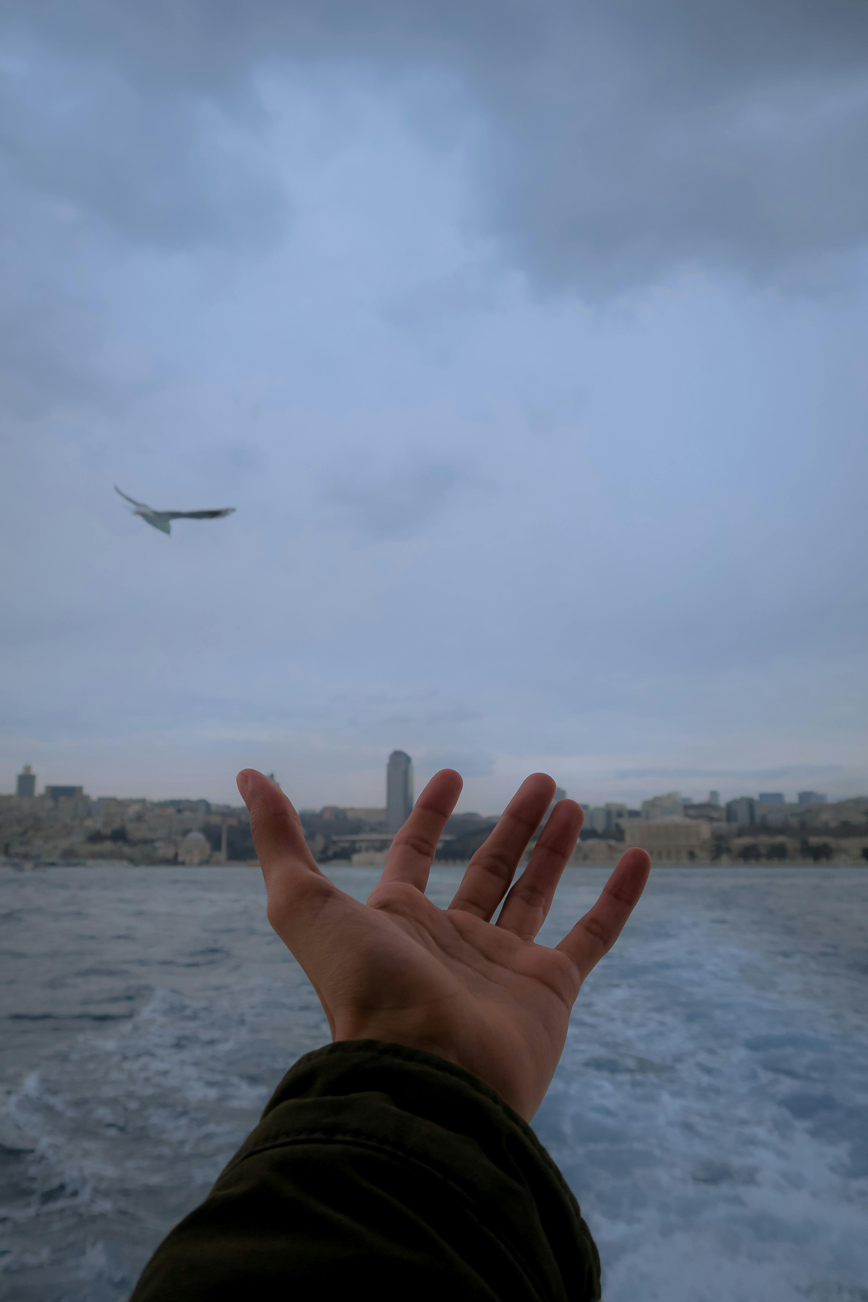 Close-up of a Hand over the Sea · Free Stock Photo