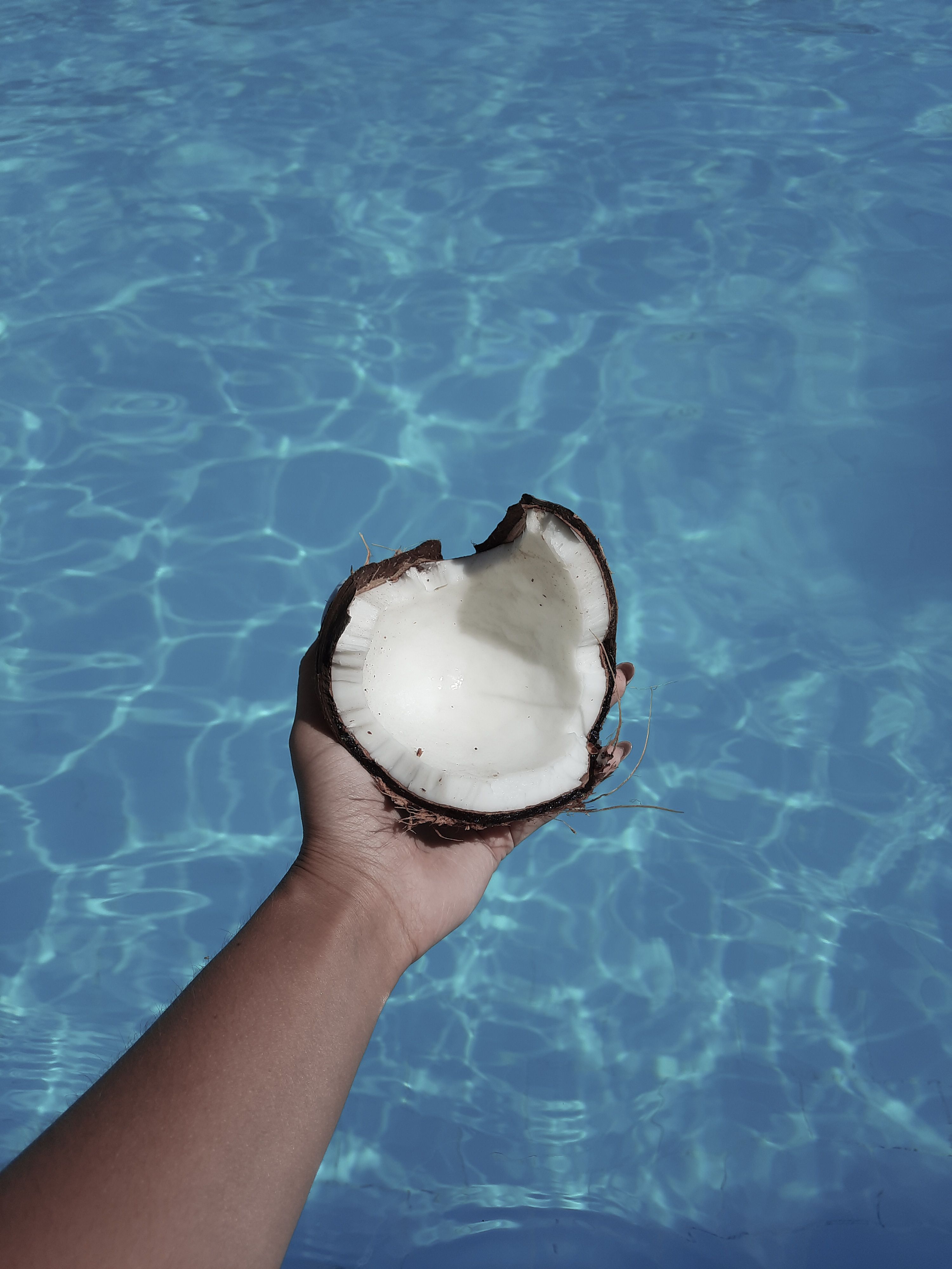 A Person Holding a Coconut Above a Swimming Pool · Free Stock Photo