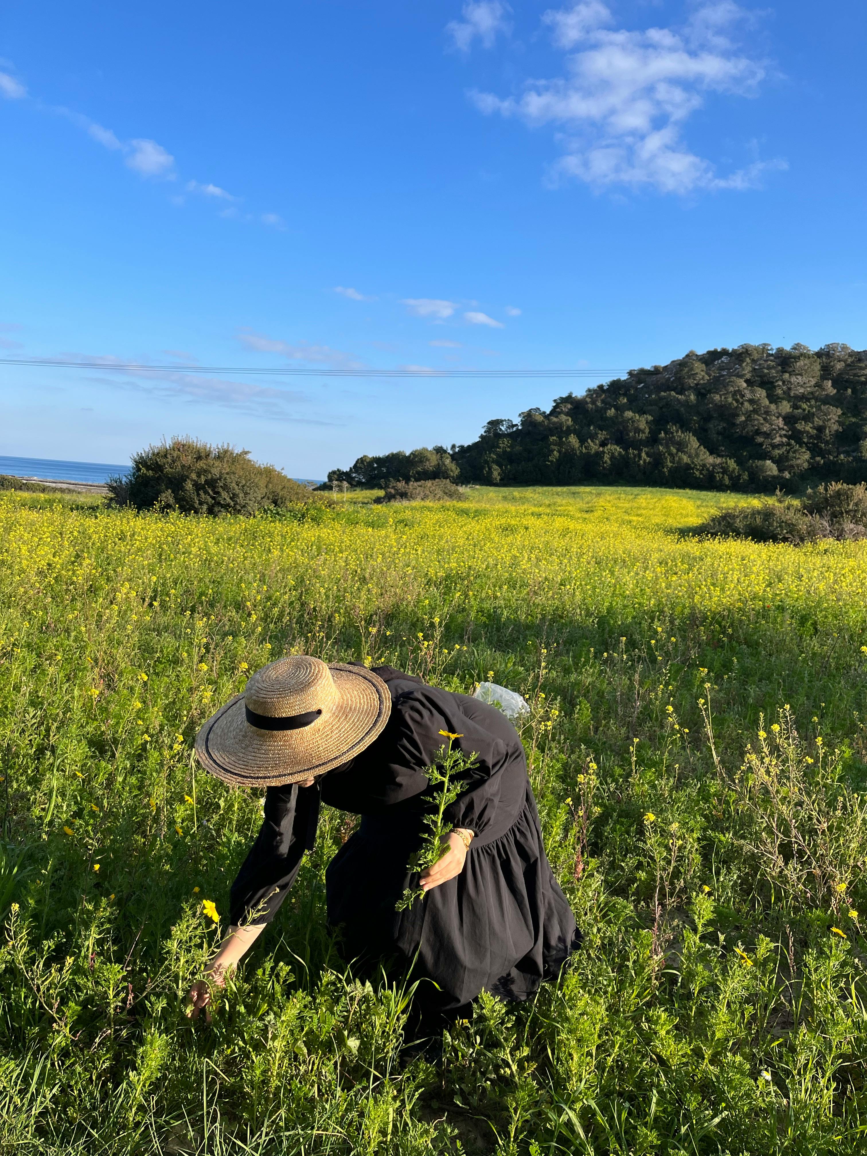 Woman Gathering Flowers in the Meadow · Free Stock Photo