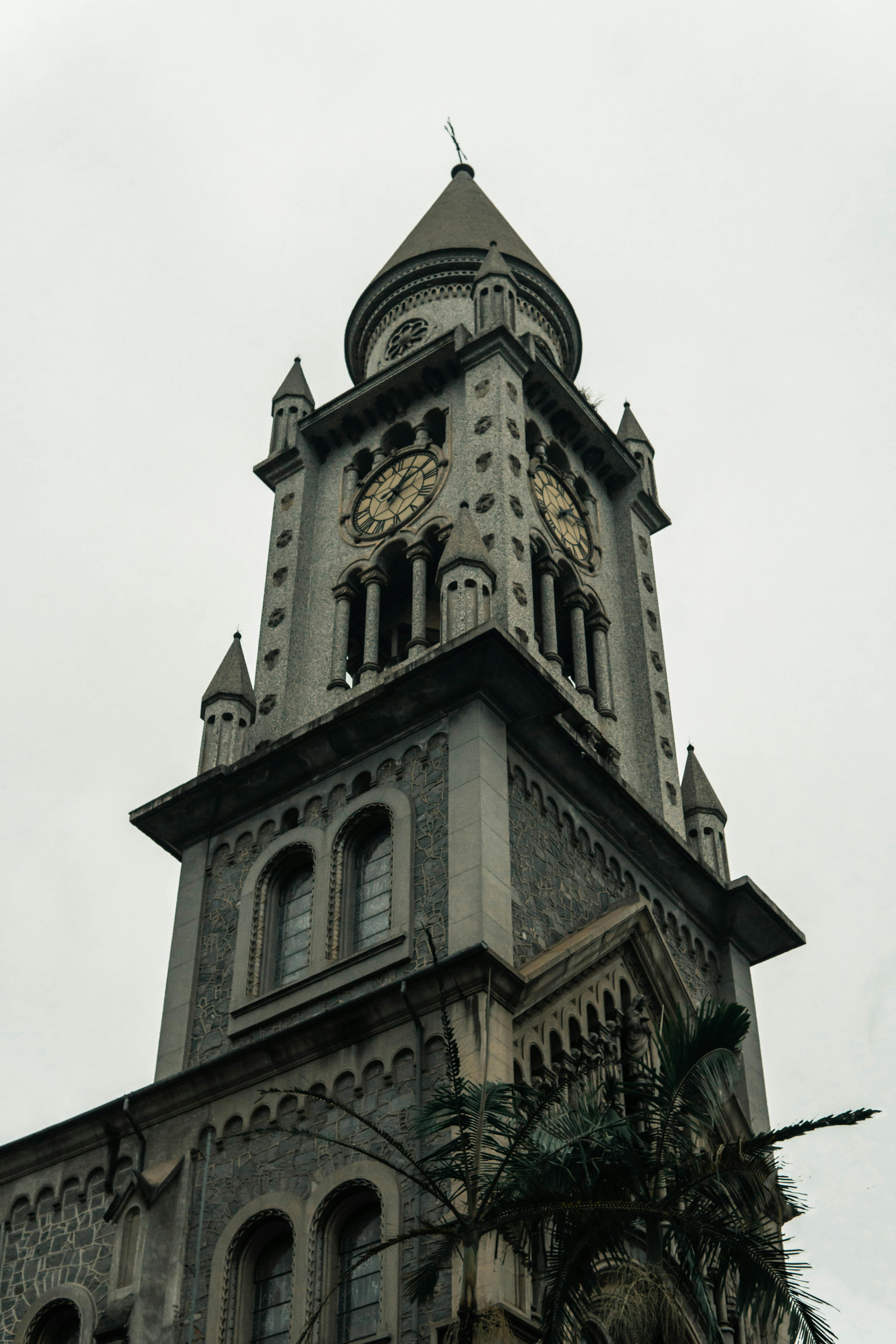 Traditional Library in Pakistan · Free Stock Photo