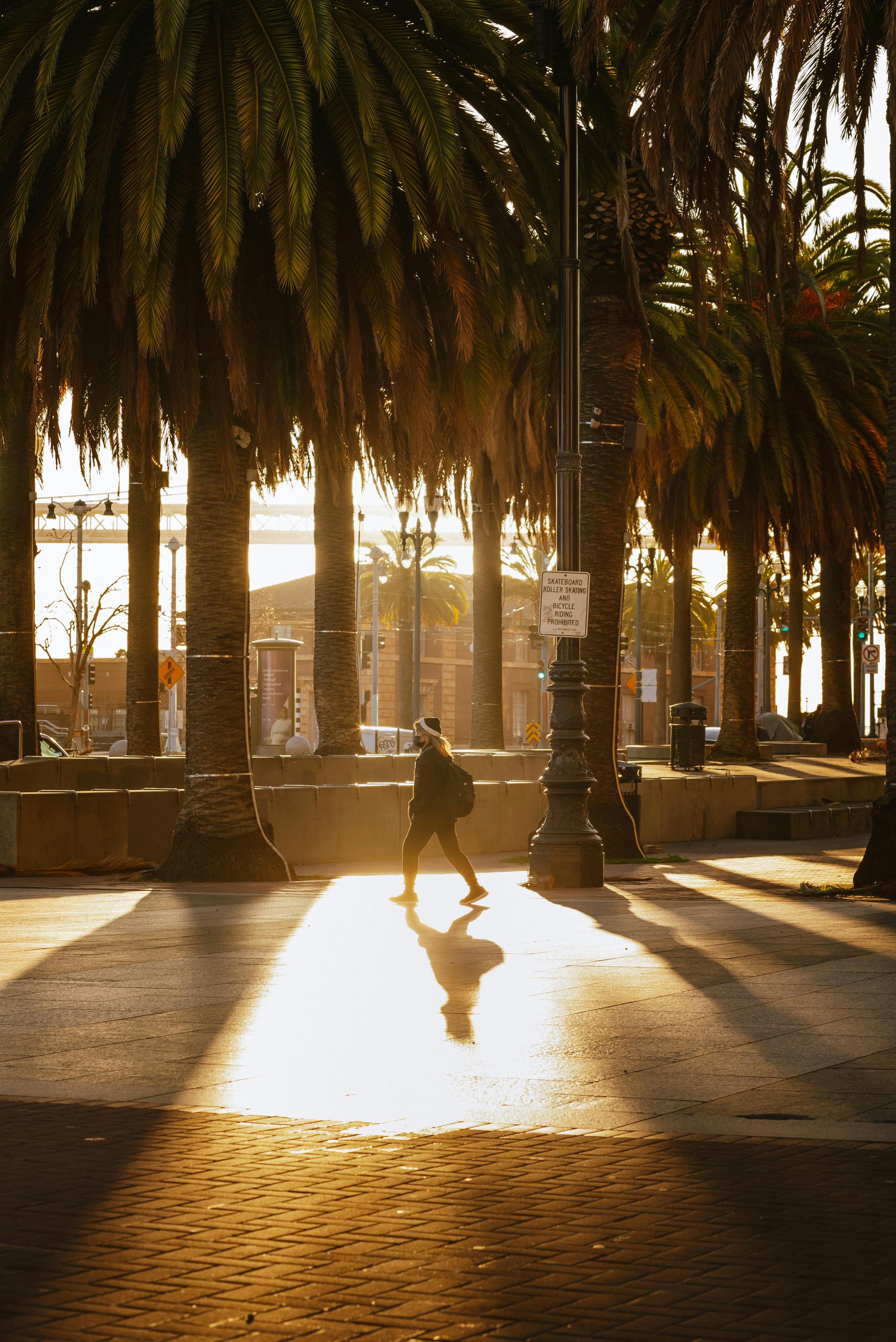 Woman Walking in Sun on a Sidewalk · Free Stock Photo