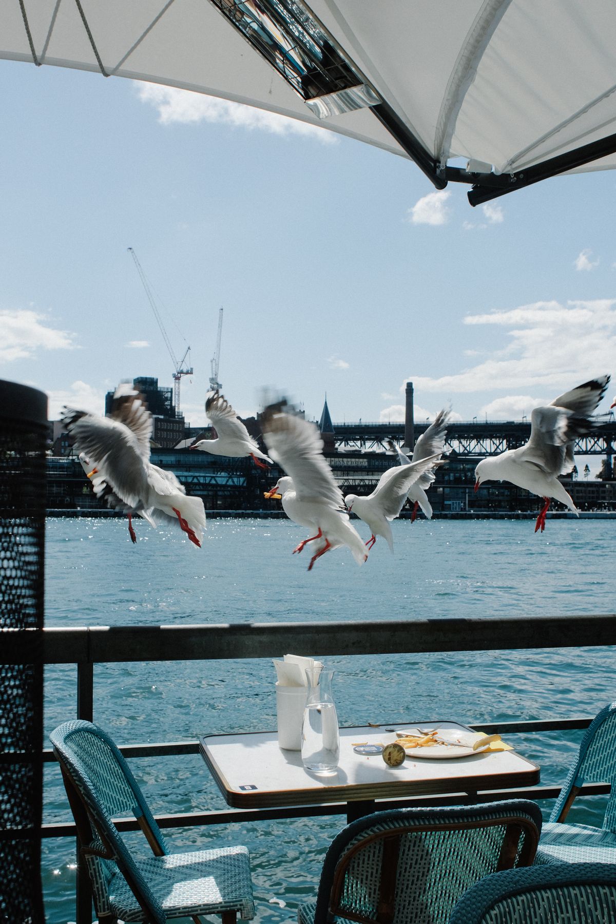Birds Eye View Of Table Photos, Download The BEST Free Birds Eye View ...