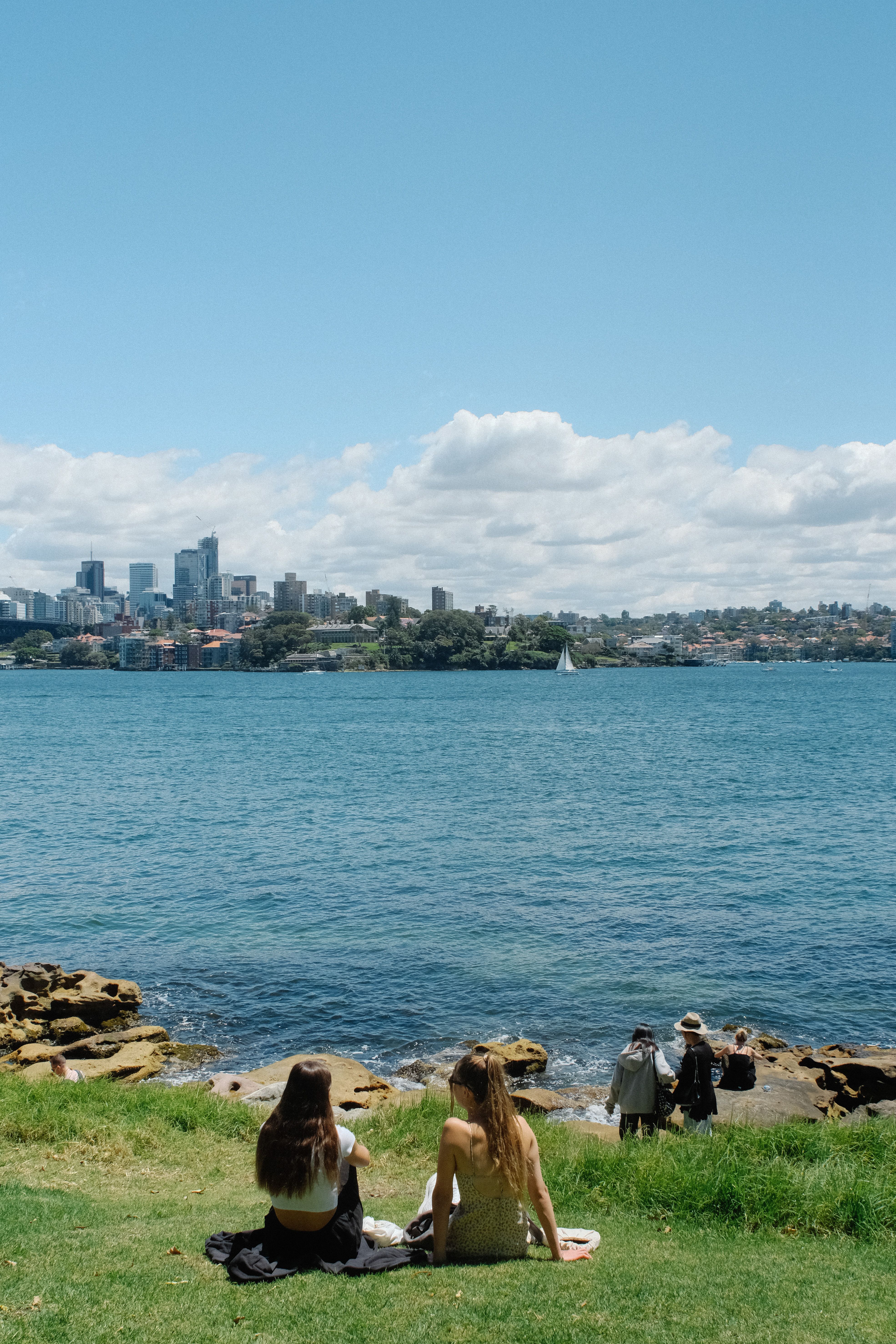 People Sitting on the Grass by Port Jackson in Sydney, Australia · Free ...