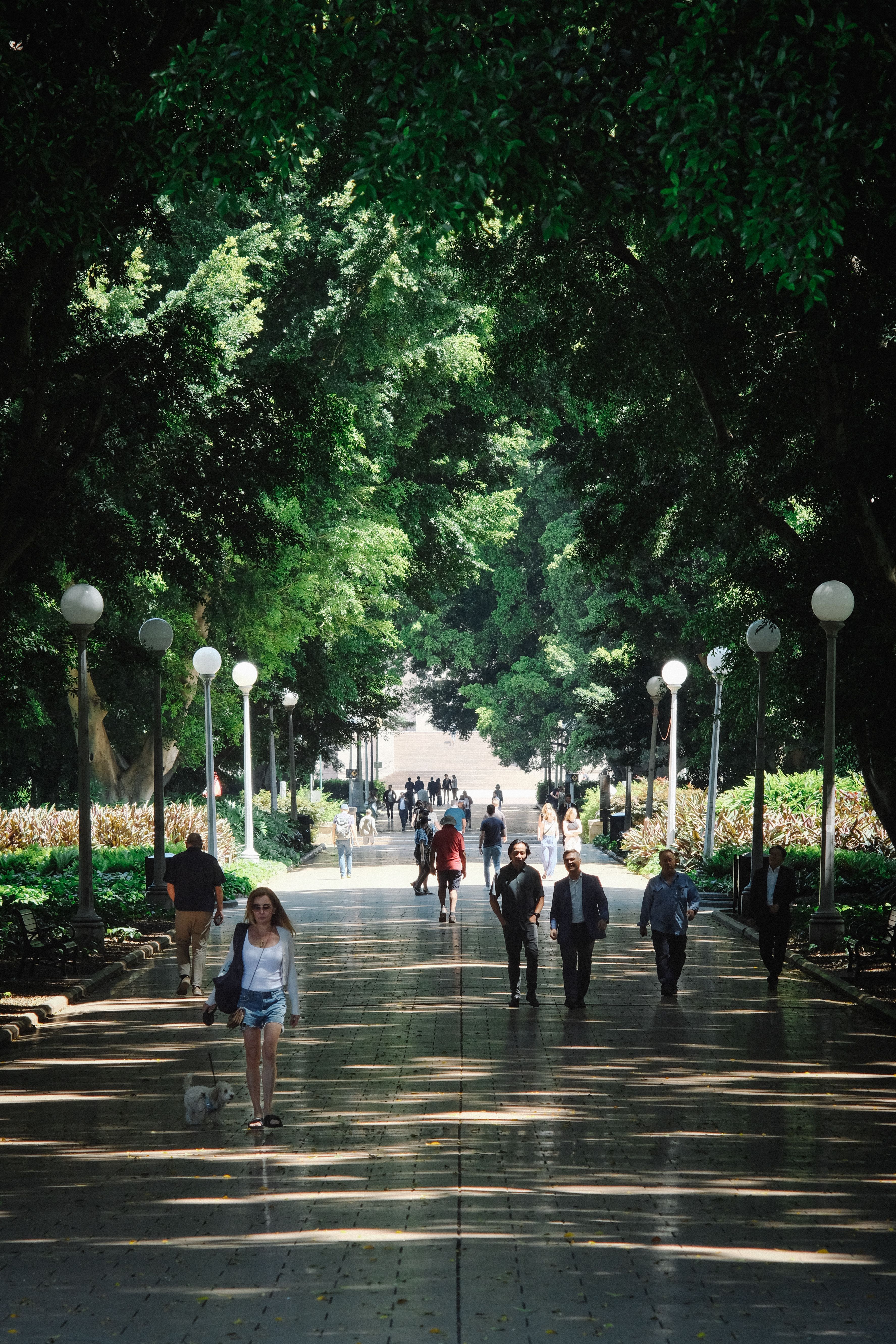 People+Walking+In+A+Park Photos, Download The BEST Free People+Walking ...